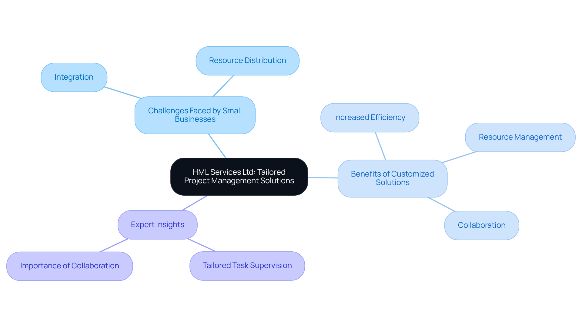 The central node represents HML's service, while the branches show the challenges small businesses face and the benefits of customized solutions. Follow the branches to understand how HML's offerings can elevate an organization's performance.
