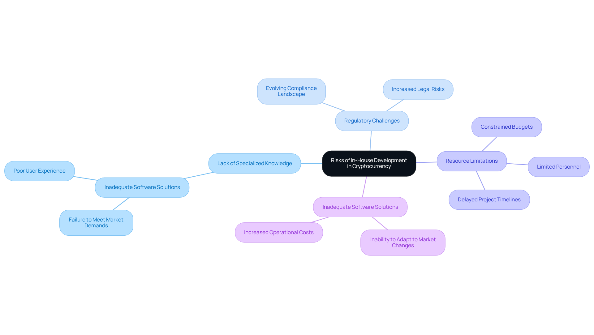 The central node represents the main topic, while the branches show different types of risks. Each sub-branch provides more detail about specific concerns related to that risk category.