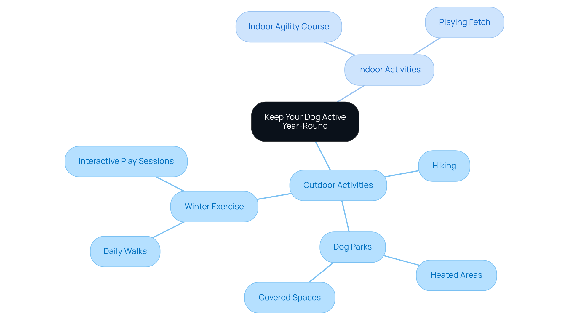 The center shows the main goal of keeping your dog active, with branches leading to specific activities for different seasons. Each branch highlights how to engage your dog, whether outdoors or indoors, ensuring they stay happy and healthy.