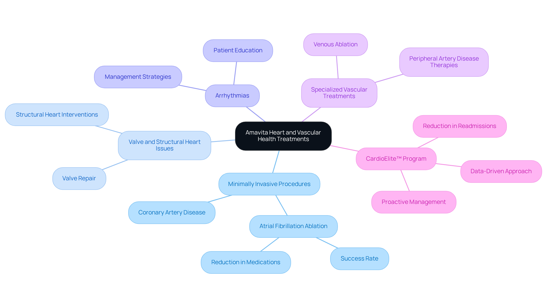 The central node represents the main focus on heart and vascular health, while the branches show specific treatment areas. Each branch and sub-point highlights different services and their importance, helping you visualize the full range of care offered.