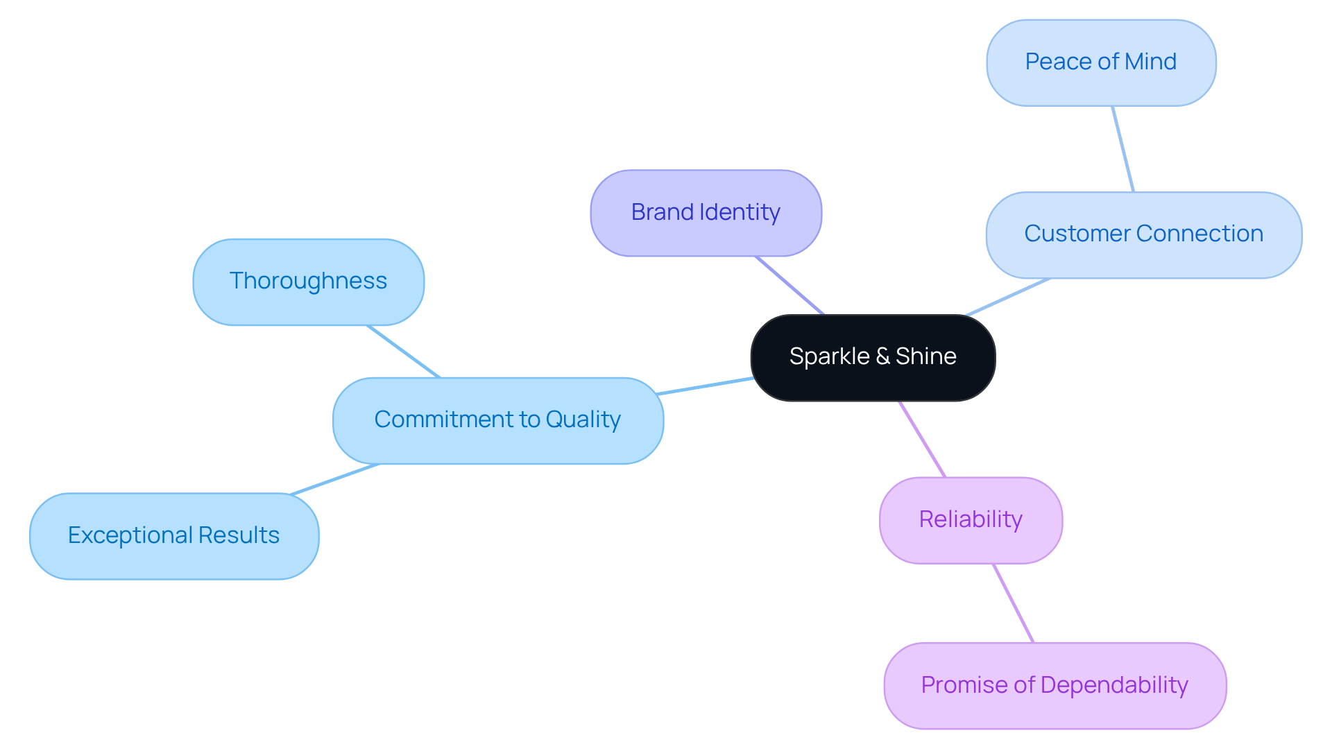 Start at the center with 'Sparkle & Shine' and follow the branches to explore how this name influences quality and trust in the service. Each branch highlights a key aspect of the brand's identity.