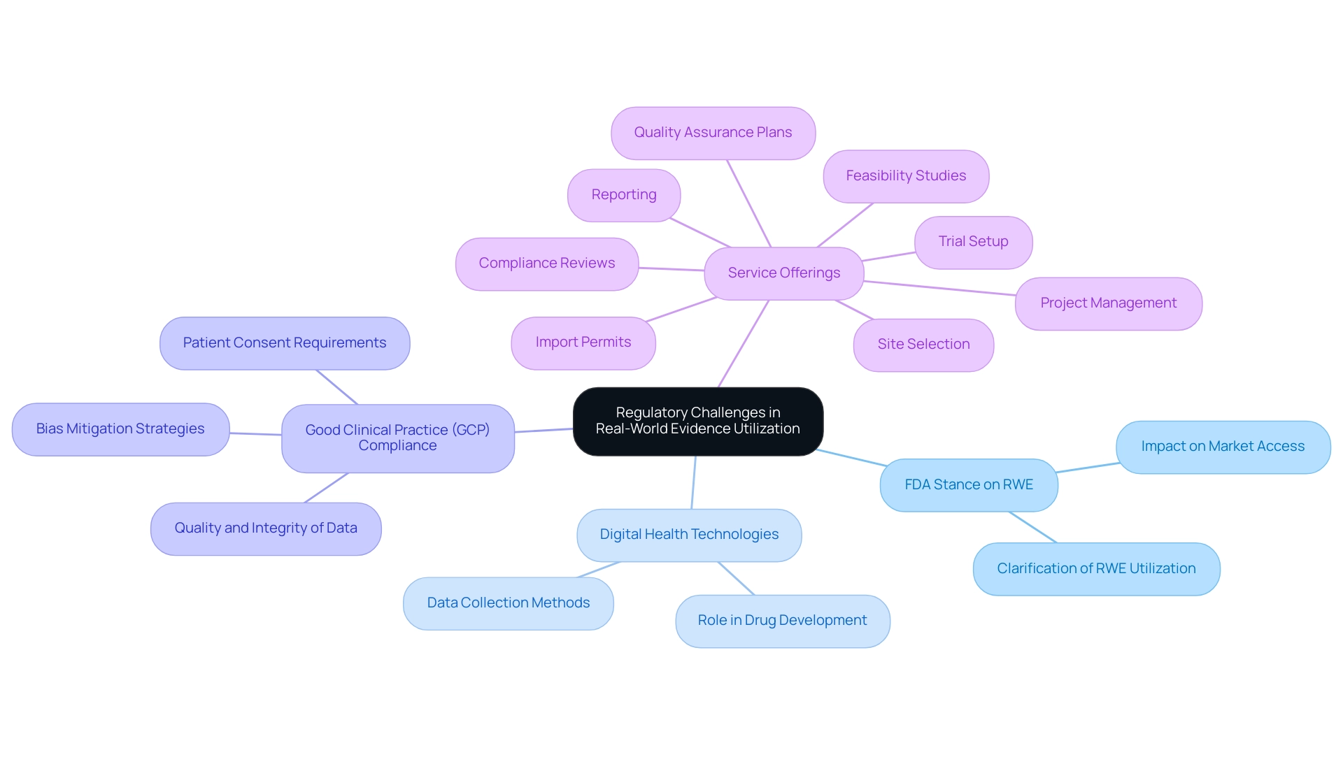 Each branch represents a key aspect of navigating regulatory challenges, with sub-branches detailing specific elements or services related to that aspect.