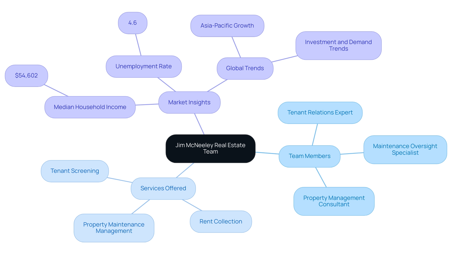 The central node represents the team, with branches indicating team members, services provided, and market insights. Different colors distinguish these categories for easy understanding.
