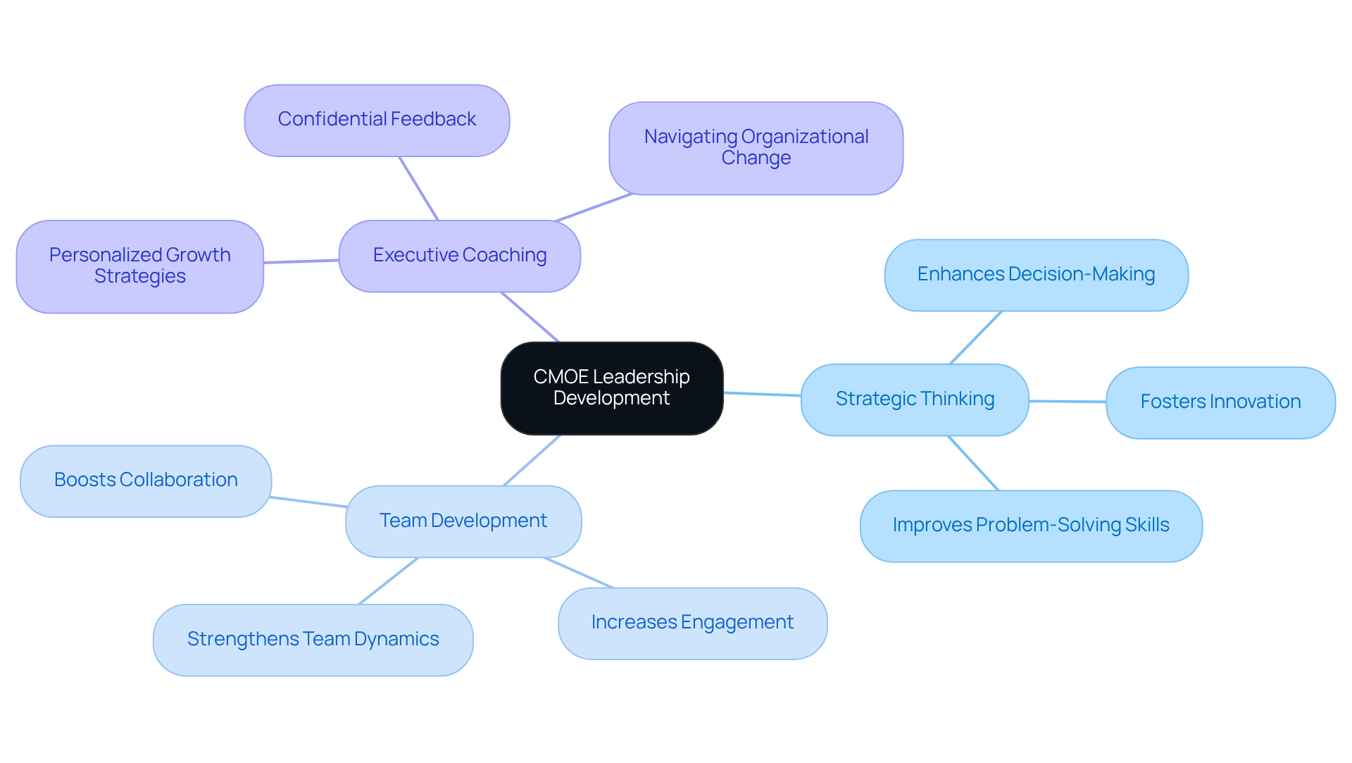 The central idea represents CMOE's focus on enhancing leadership. The branches show key training areas, illustrating how each contributes to overall effectiveness in management. The central idea represents CMOE's focus on enhancing leadership. The branches show key training areas, illustrating how each contributes to overall effectiveness in management.