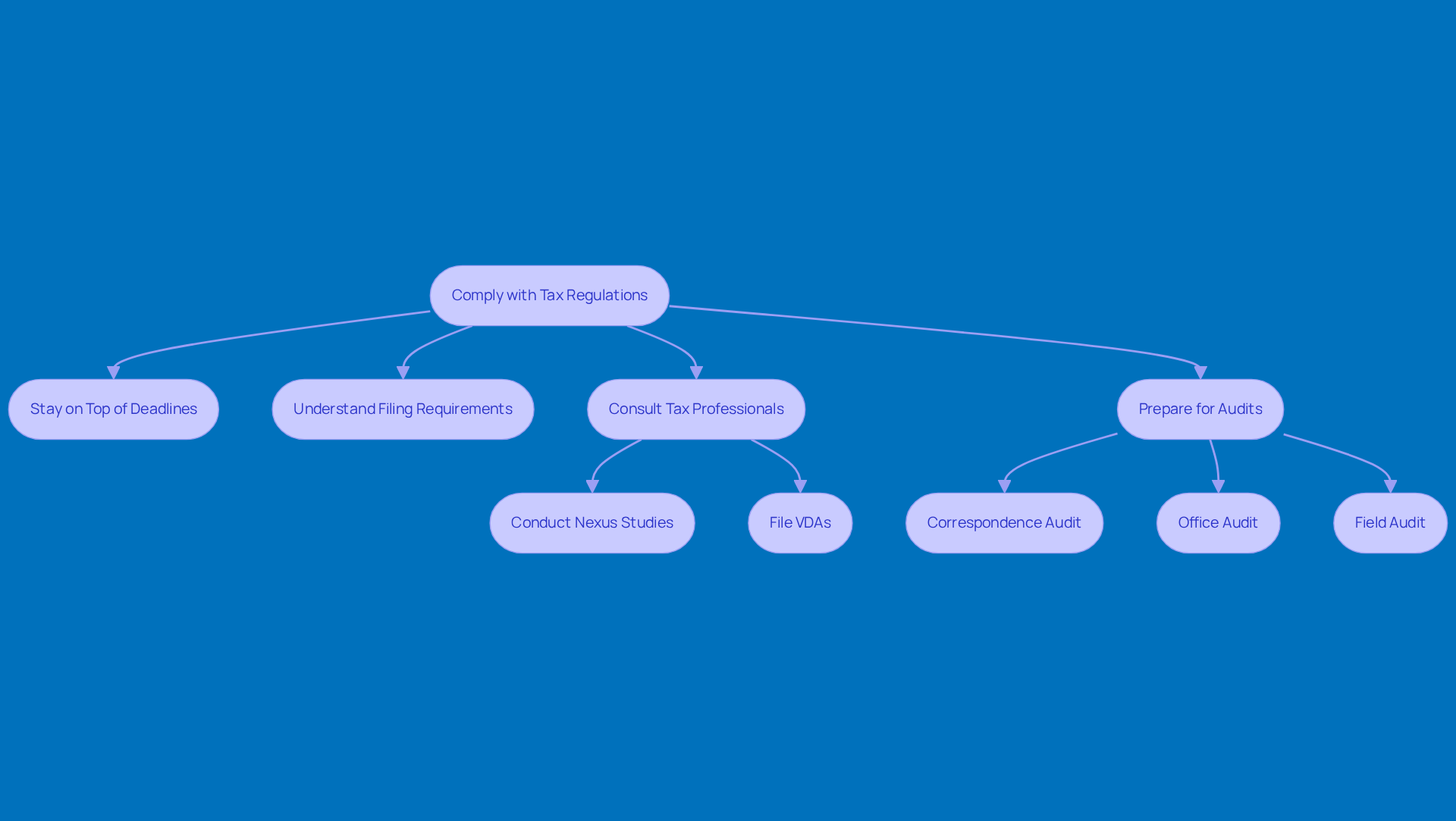 Follow the flowchart to see the steps small businesses should take to stay compliant with tax regulations and prepare for audits. Each box represents a key action or decision point, guiding you through the process.