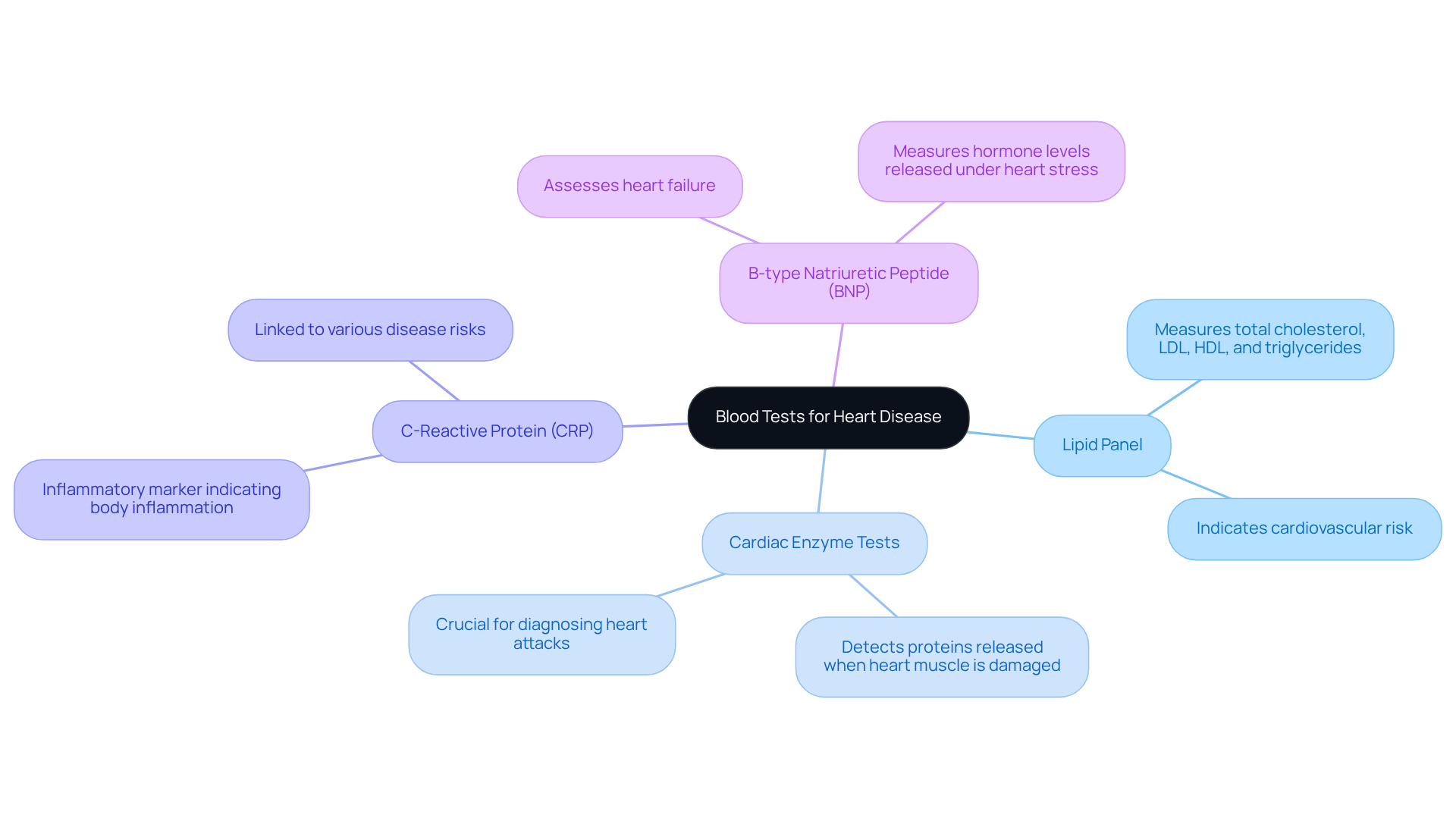 The central node represents the overall topic of blood tests for heart health. Each branch represents a specific test, and the sub-branches provide details about what each test measures and its importance in assessing cardiovascular wellness.