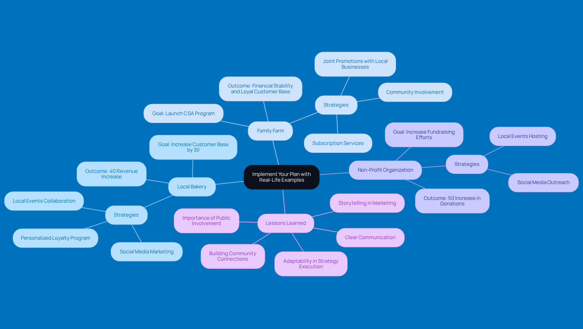 The center represents the main theme of implementing plans, while each branch shows a different case study. Follow the branches to see how each organization approached their goals and what lessons can be learned from their experiences.