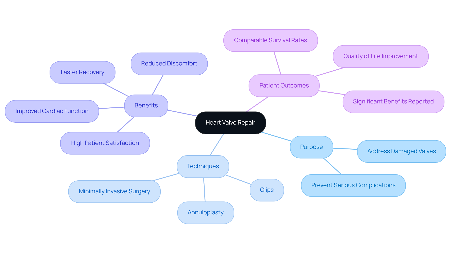 The center of the mindmap is the main topic: heart valve repair. As you move outward, you'll find related categories and specific details, helping you understand how the procedure works and its importance for patients.