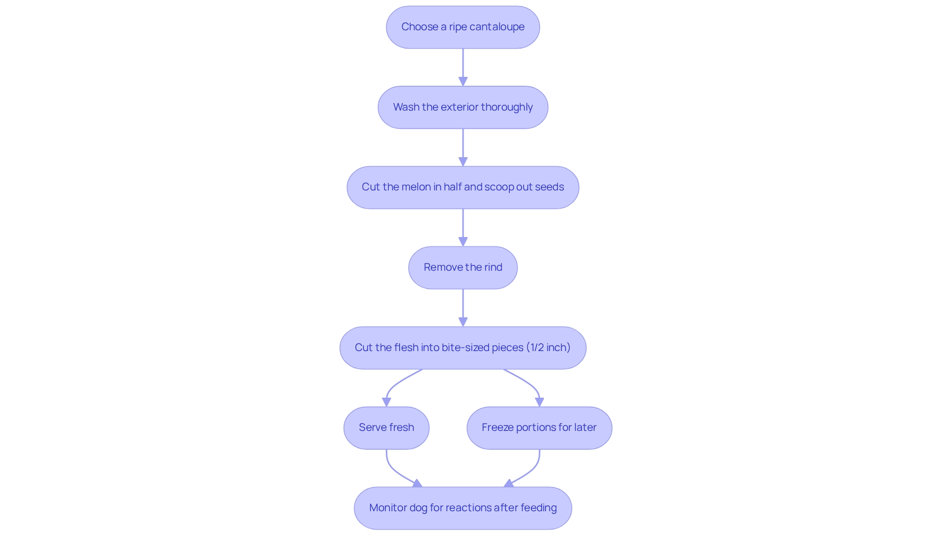 Each box represents a step in preparing cantaloupe. Follow the arrows to see how to safely prepare and serve this tasty treat for your furry friend!