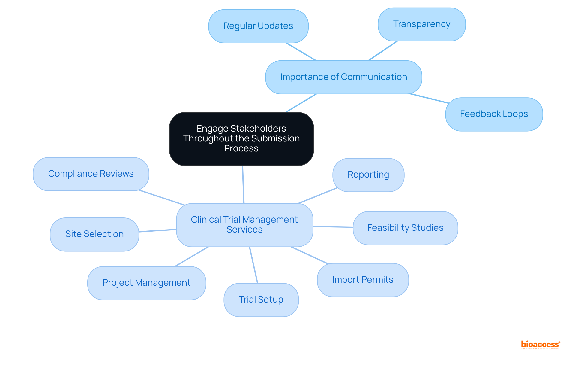 The central node represents the main theme of stakeholder engagement. The branches illustrate the importance of communication and the specific services that support the ANVISA application process. Each branch and sub-branch helps you see how these elements work together.
