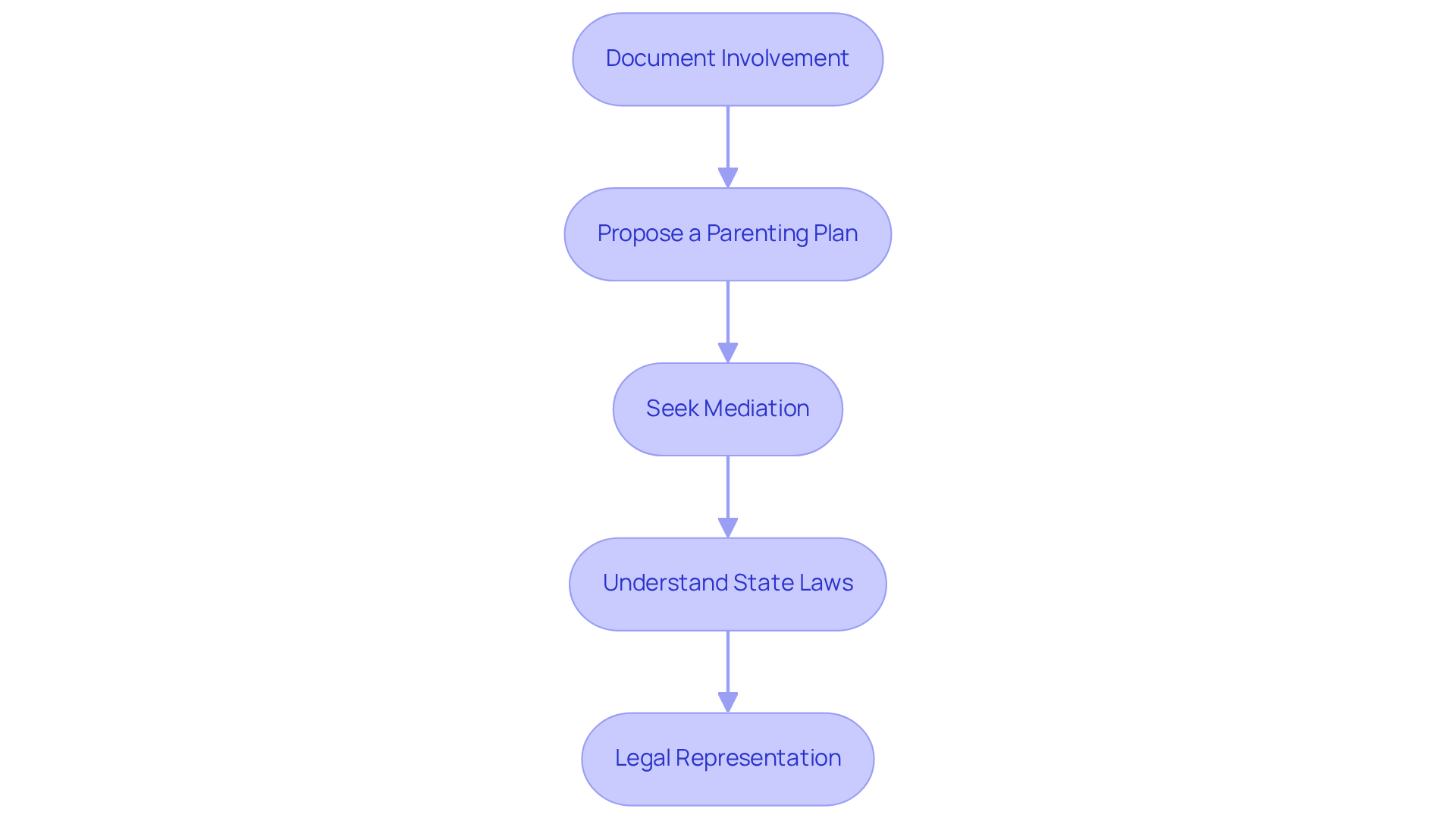 Each box represents a step fathers can take to navigate custody and visitation rights. Follow the arrows to see how each strategy builds on the previous one, guiding you through the process of securing your rights and your child's best interests.