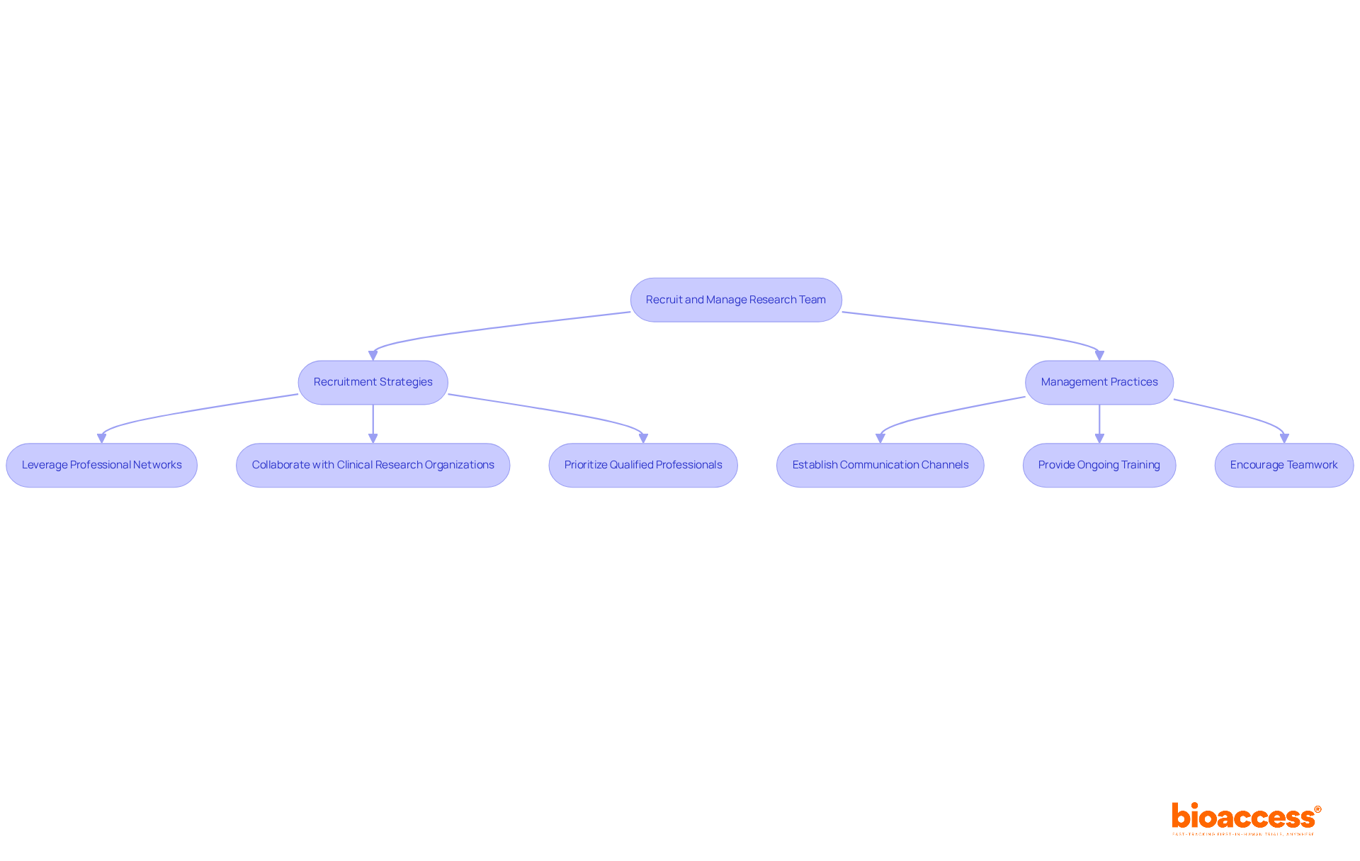 Follow the arrows to see the steps for recruiting and managing a research team. Each section shows important actions to take, with recruitment focusing on finding the right people and management emphasizing how to support and lead them effectively.