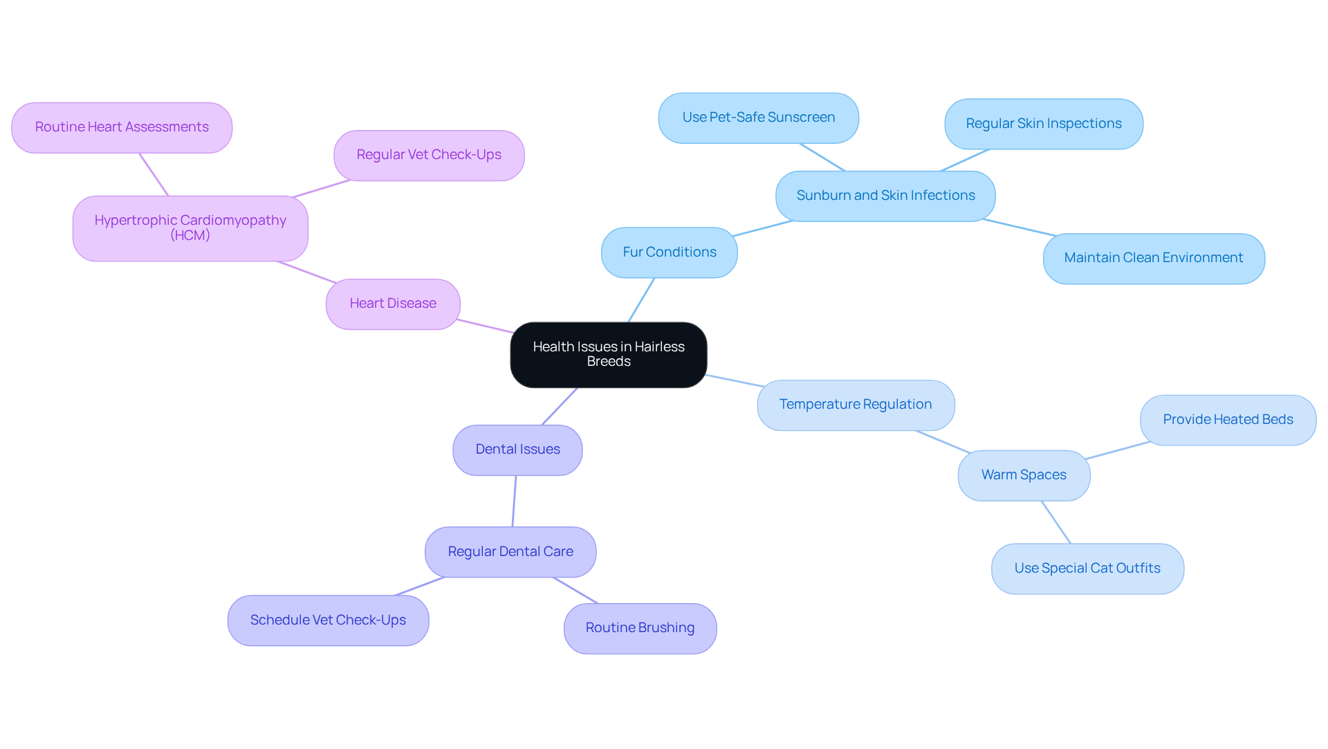 The central node represents the overall topic, while the branches highlight specific health concerns. Each sub-branch provides care strategies to help address those concerns. Follow the branches to see how each aspect connects to keeping your hairless cat healthy.