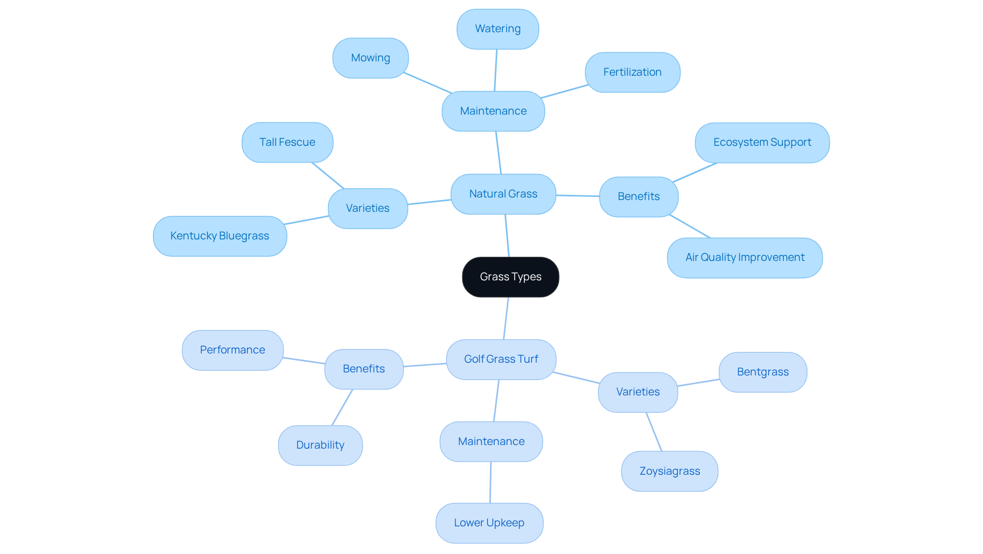 The central node represents the main topic of grass types. Each branch shows a different category, with sub-branches detailing specific characteristics and benefits. This layout helps you see how each type of grass compares and what makes them unique.