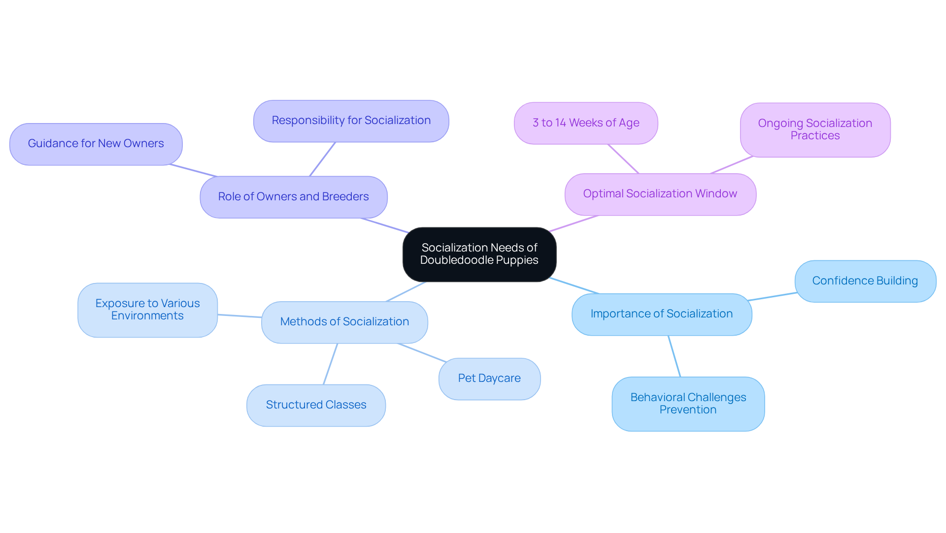The central node represents the main topic of socialization. Each branch highlights a key aspect of socialization, showing how they contribute to the overall well-being of Doubledoodle puppies.