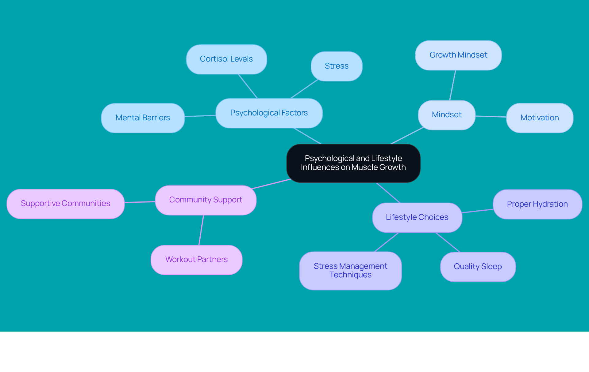 The central idea is about how psychological and lifestyle factors affect muscle growth. Each branch represents a different influence, and the sub-branches provide specific elements related to those influences.