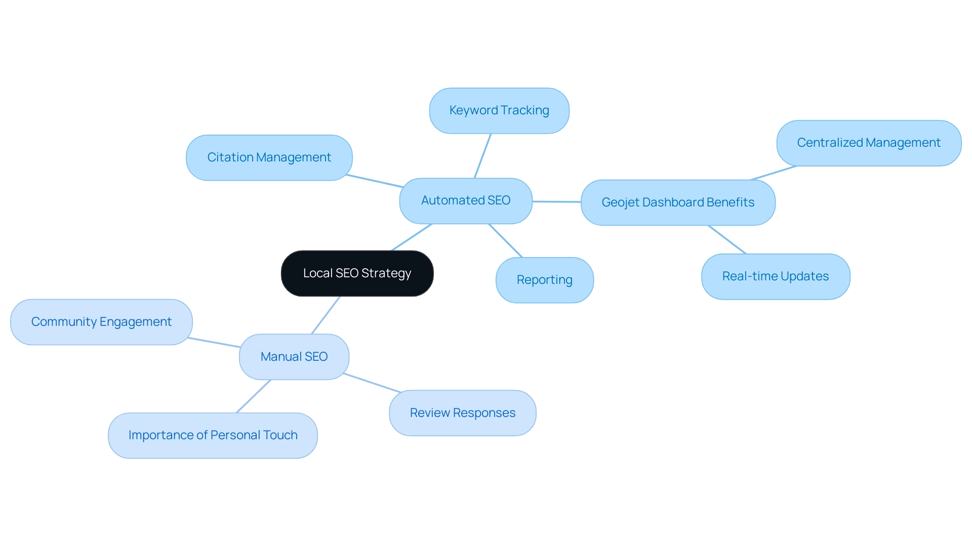 The central node represents the overall local SEO strategy, with branches showing the automated and manual components and their respective subcategories.