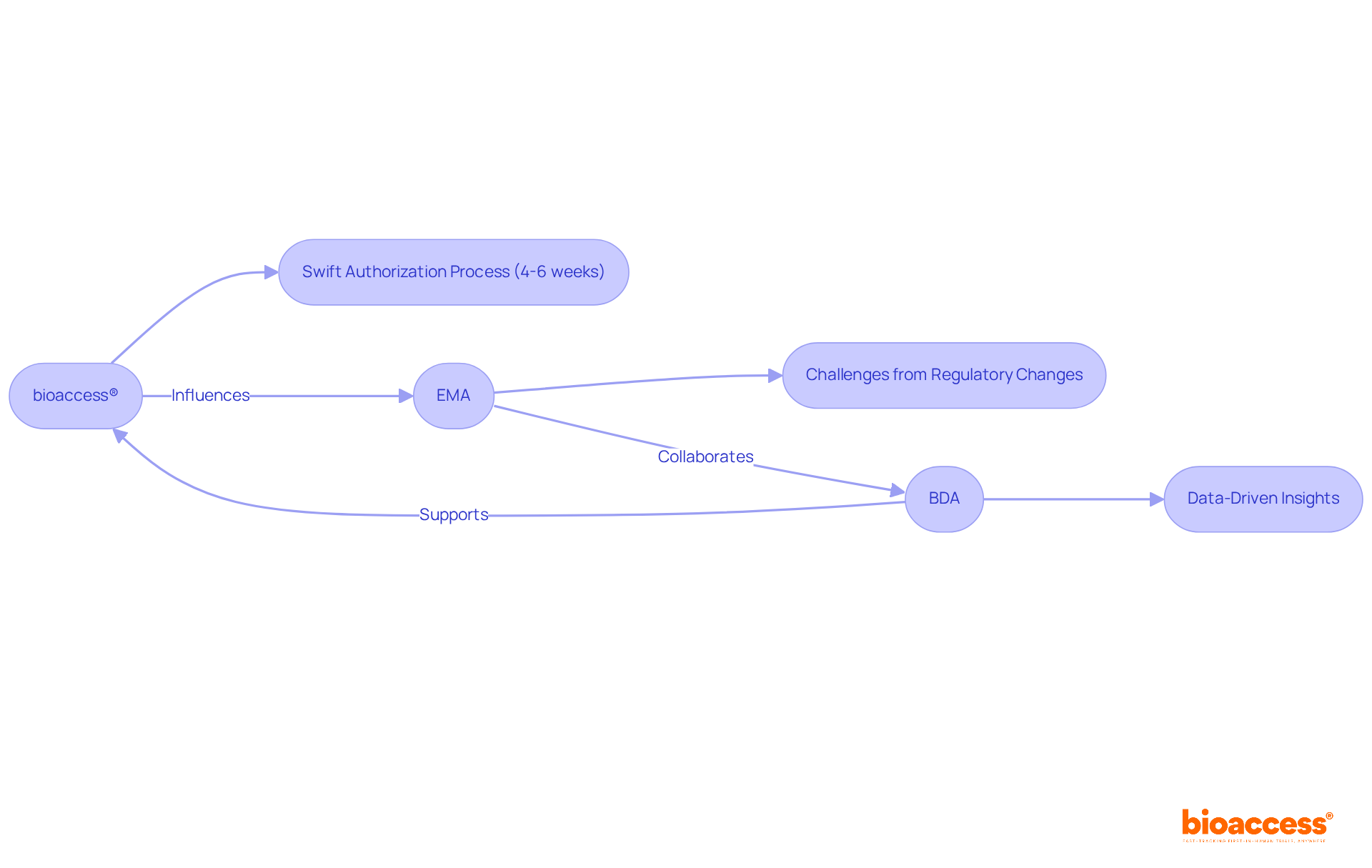 This flowchart shows how bioaccess®, EMA, and BDA interact in response to regulatory changes. Each box represents an entity, and the arrows indicate how they influence each other in the review process.