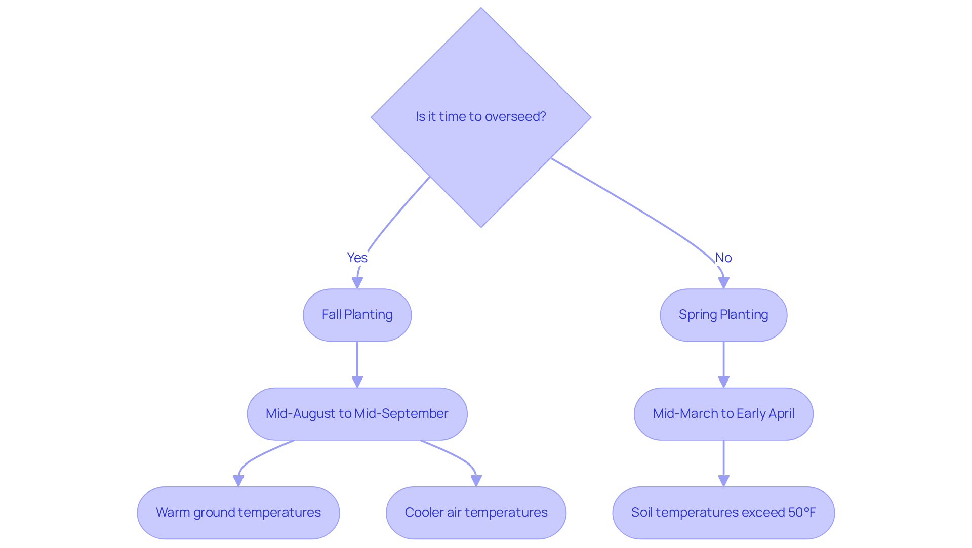 Follow the arrows to determine the best time to overseed your lawn based on the season and temperature conditions. Each path guides you through the ideal planting times and what to look for to ensure success.