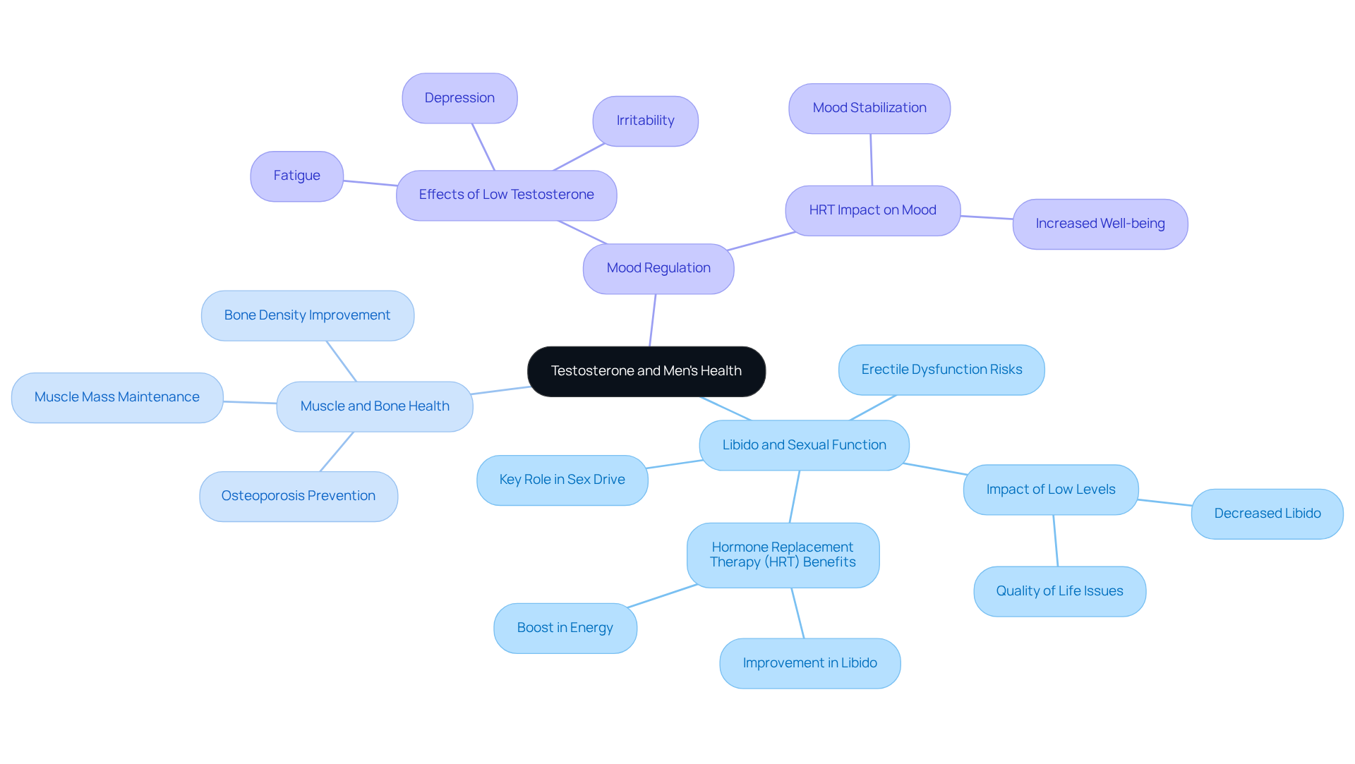 The central node represents testosterone, while the branches show its key roles in health. Each sub-point provides additional details about how testosterone affects various aspects of life.