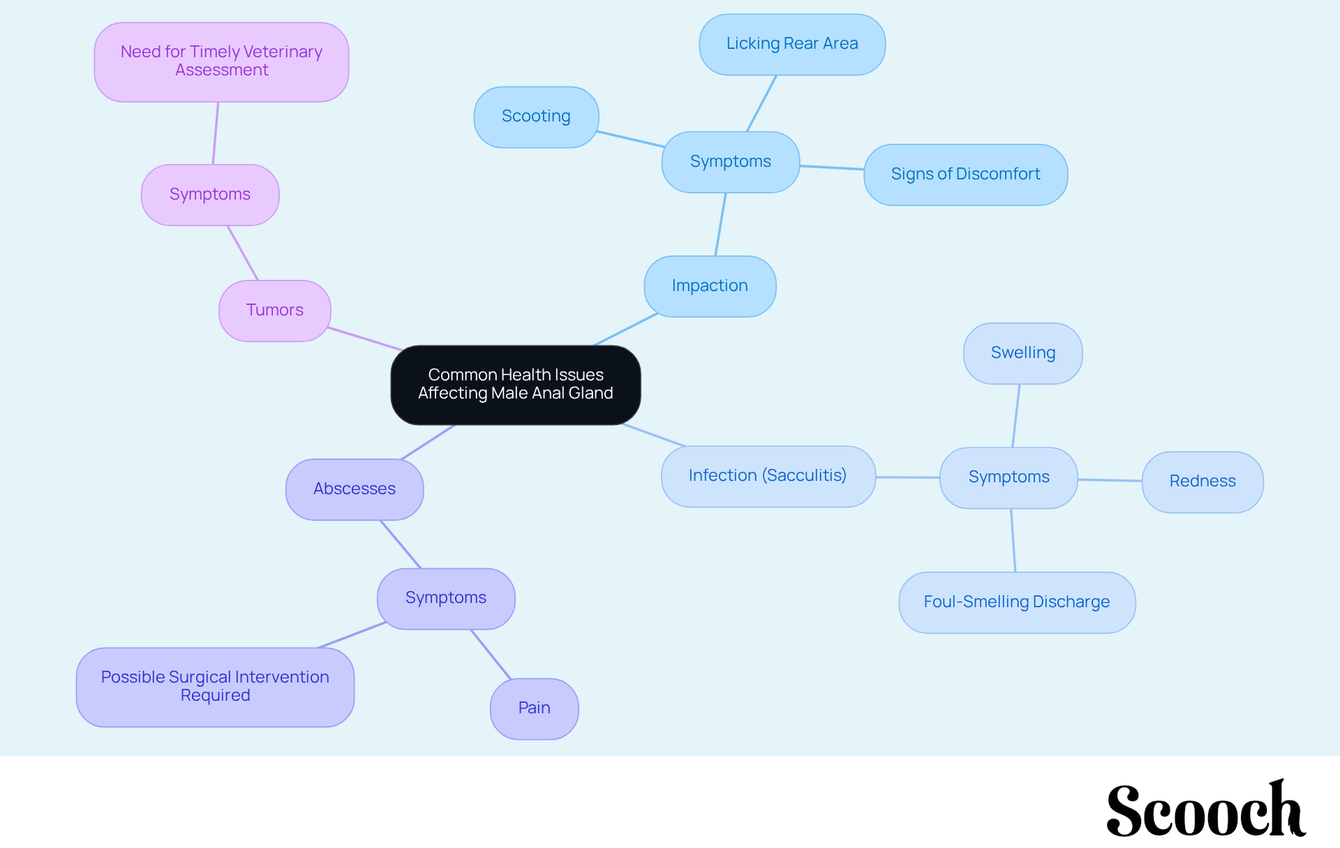 Master Male Anal Gland Care: Anatomy, Issues, and Tech Solutions