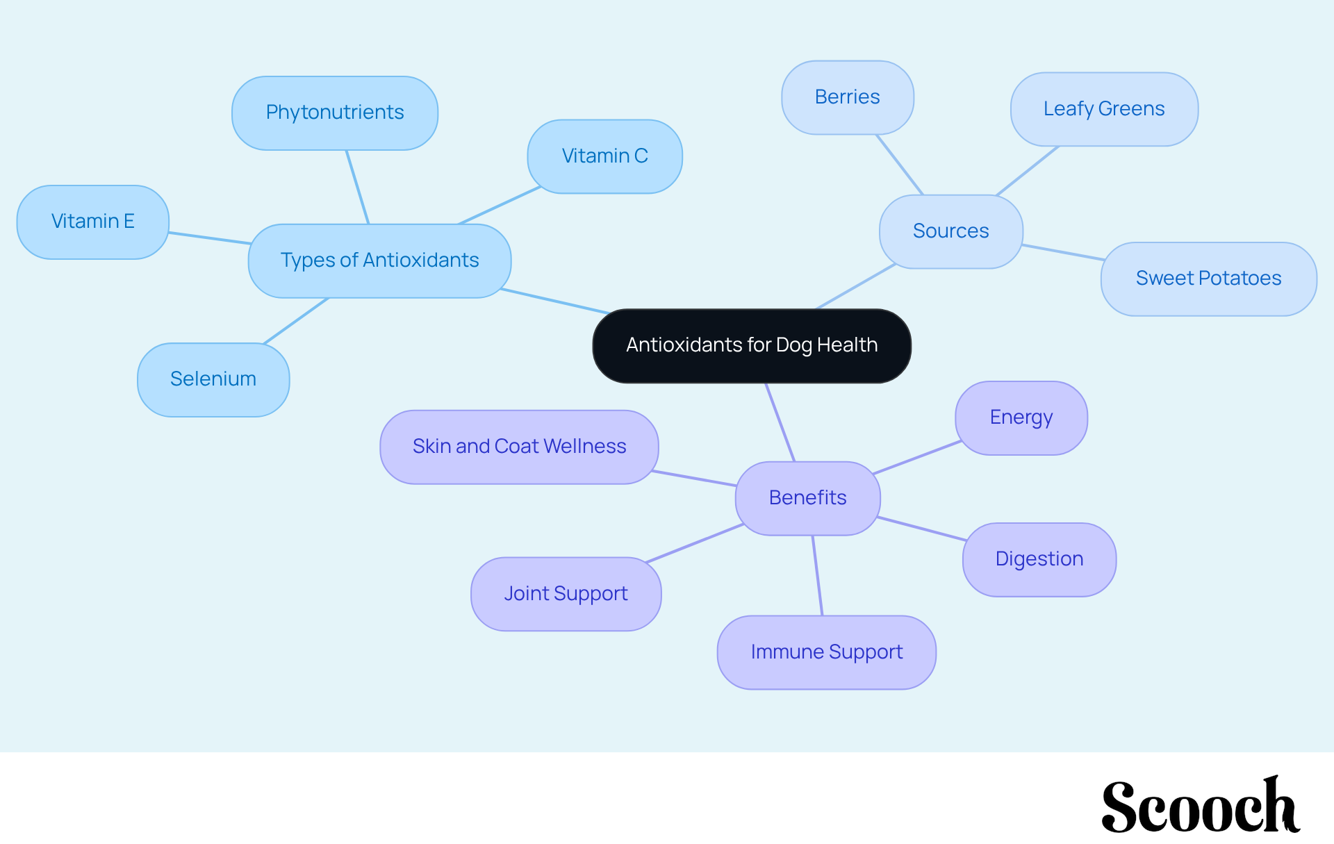 The central node represents the main topic of antioxidants. Each branch shows different aspects: types of antioxidants, their natural sources, and the health benefits they provide for dogs. Follow the branches to see how everything connects!