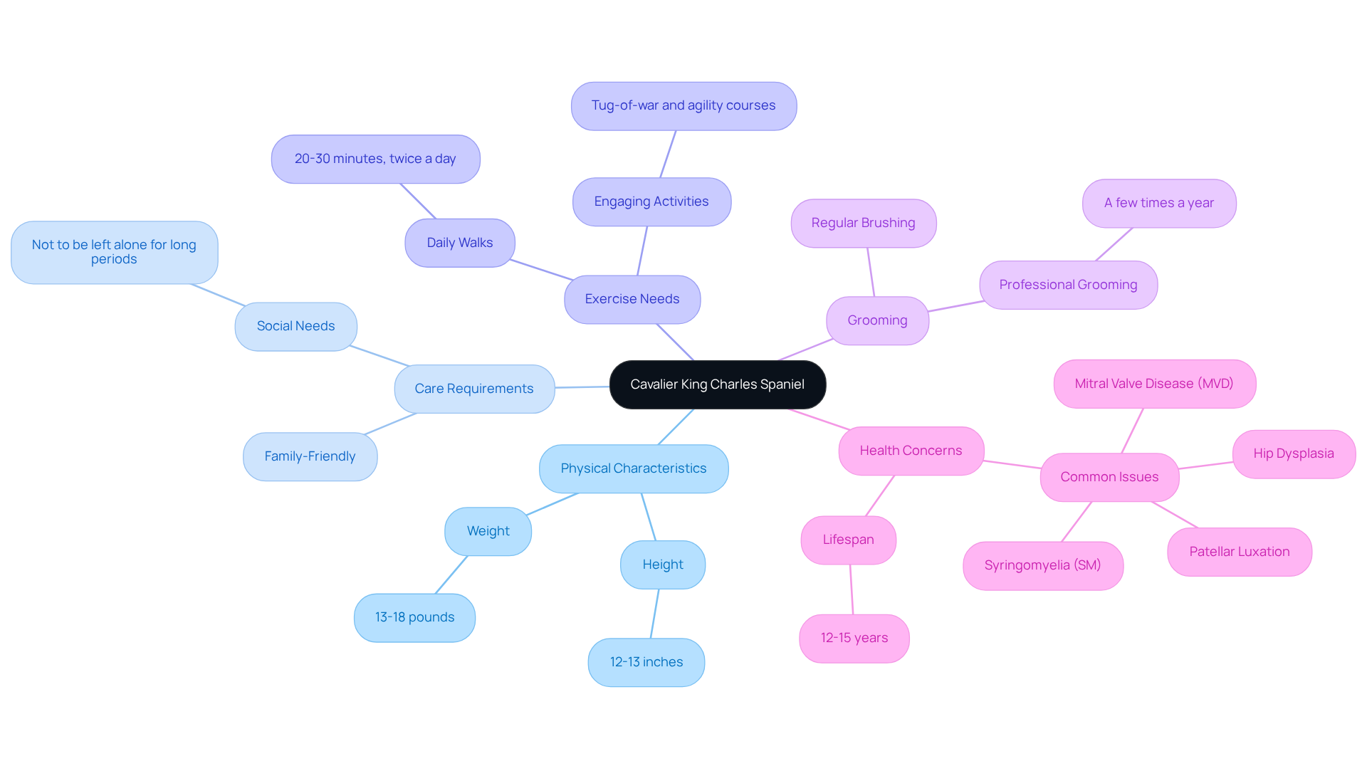 The center represents the breed, and each branch shows important aspects of their care and characteristics. Follow the branches to understand what makes Cavaliers great family pets and how to care for them. The center represents the breed, and each branch shows important aspects of their care and characteristics. Follow the branches to understand what makes Cavaliers great family pets and how to care for them.