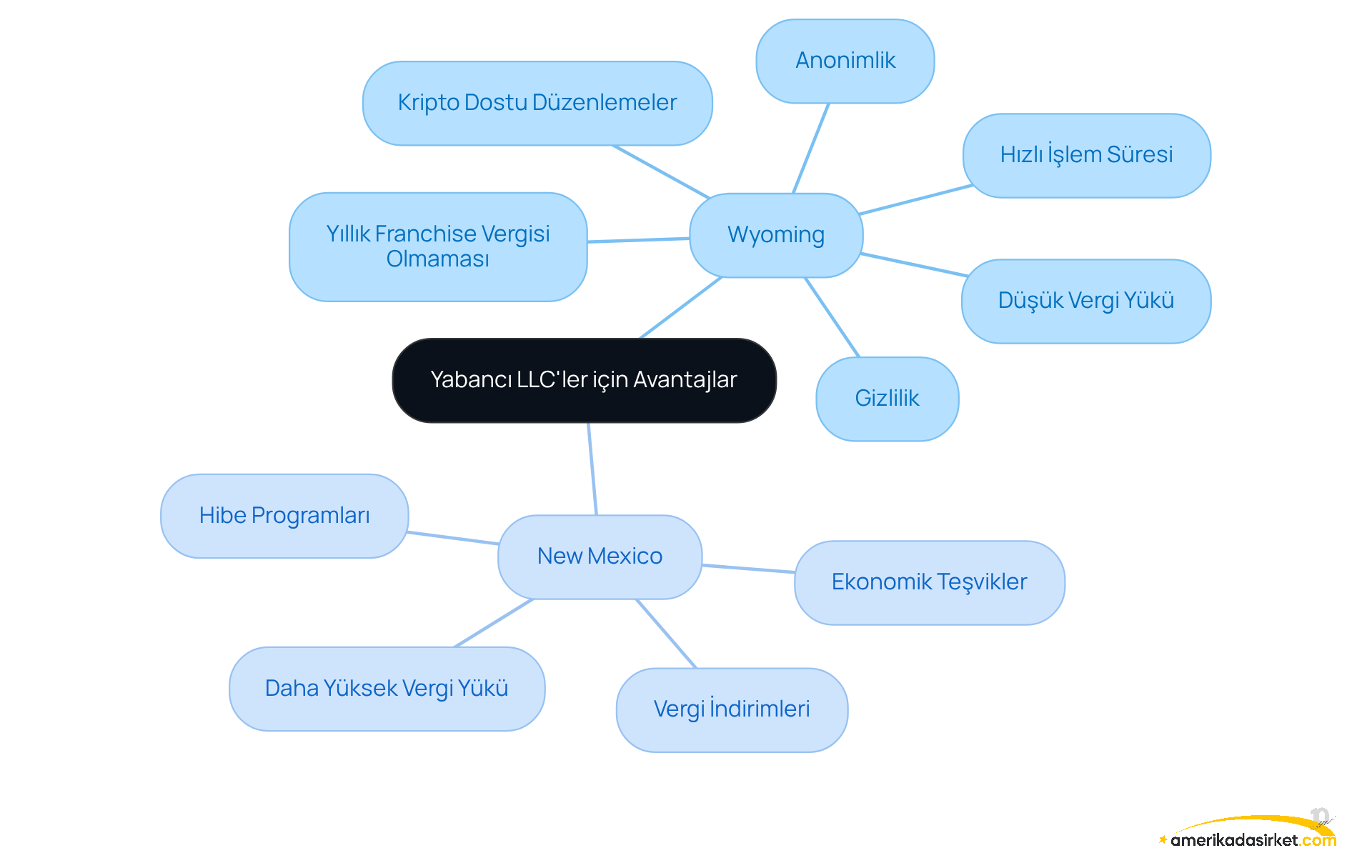 Merkezdeki başlık, yabancı LLC'ler için avantajları gösteriyor. Dallar, her eyaletin sunduğu fırsatları ve özellikleri temsil ediyor. Renkler, her eyaletin avantajlarını ayırt etmenize yardımcı olacak.