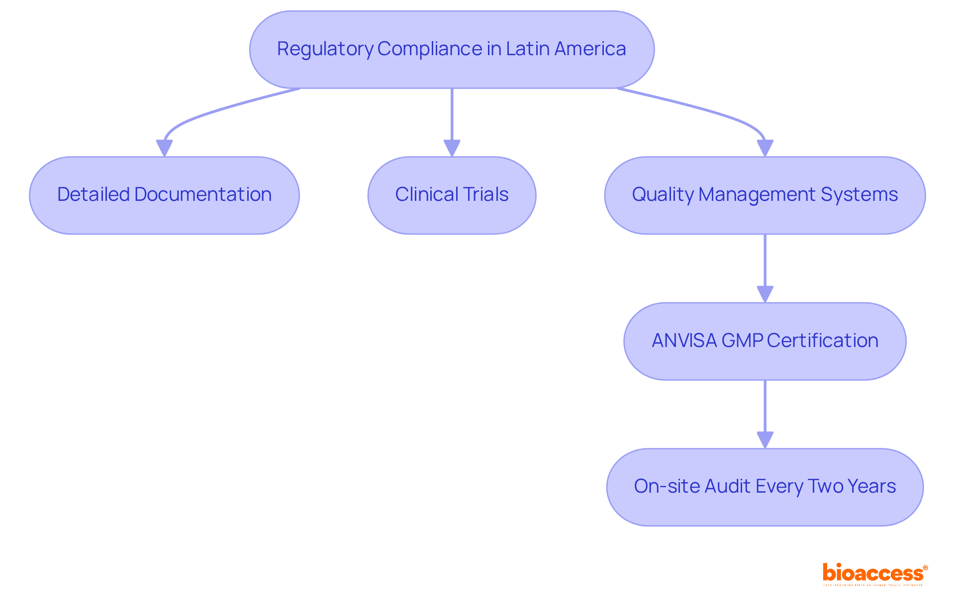 Follow the arrows to see the steps needed for compliance. Each box represents a requirement, and the sub-box under Quality Management Systems highlights the importance of ANVISA certification.