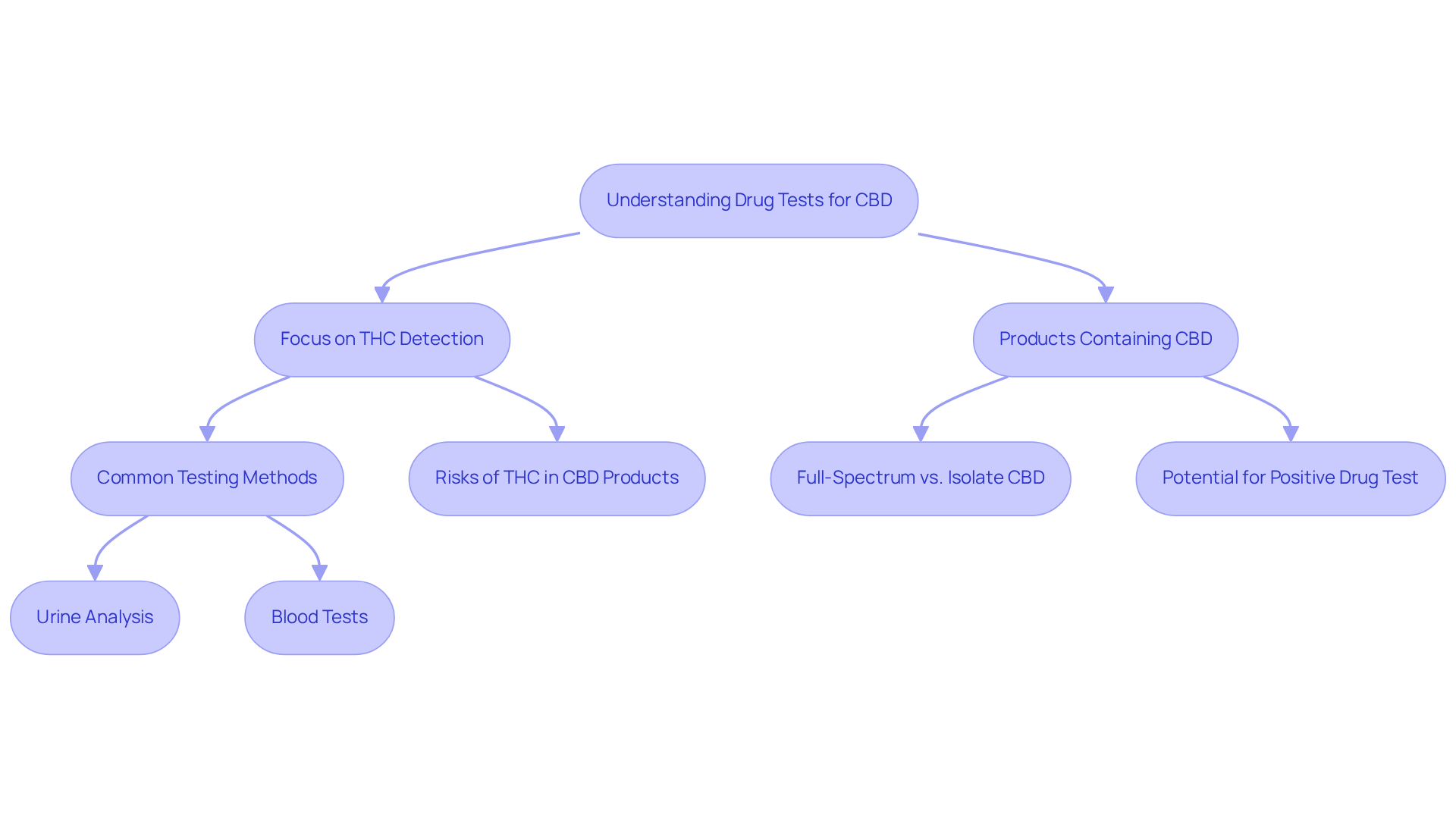 Follow the arrows to see how the process unfolds: from understanding drug tests to the risks associated with CBD products. Each box guides you through the key points, helping you grasp the connections between CBD, THC, and drug screenings.