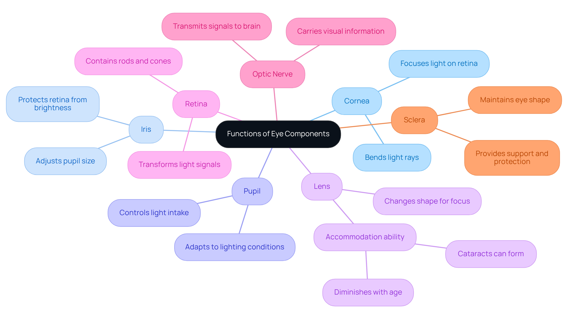 The central node represents the overall topic, while each branch shows a different part of the eye. The sub-branches explain what each part does, helping you understand how they all work together to support vision.