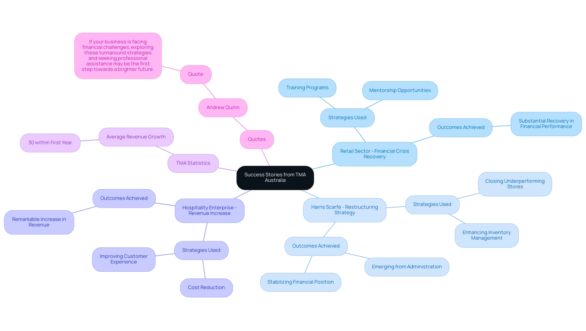 Each branch represents a specific case study, with sub-branches detailing strategies and outcomes. The color scheme distinguishes between different sectors and success stories.