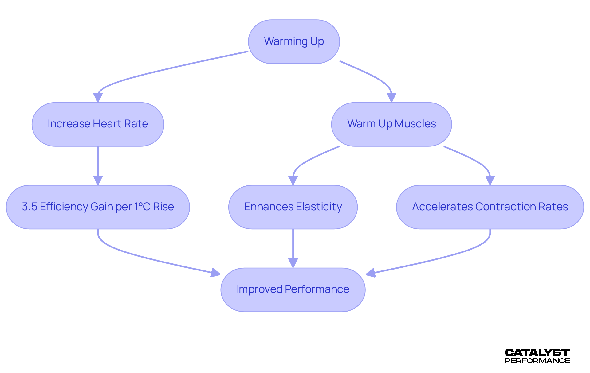 Follow the arrows to see how warming up leads to better performance. Each step shows how your body prepares for exercise, leading to improved results. Follow the arrows to see how warming up leads to better performance. Each step shows how your body prepares for exercise, leading to improved results.