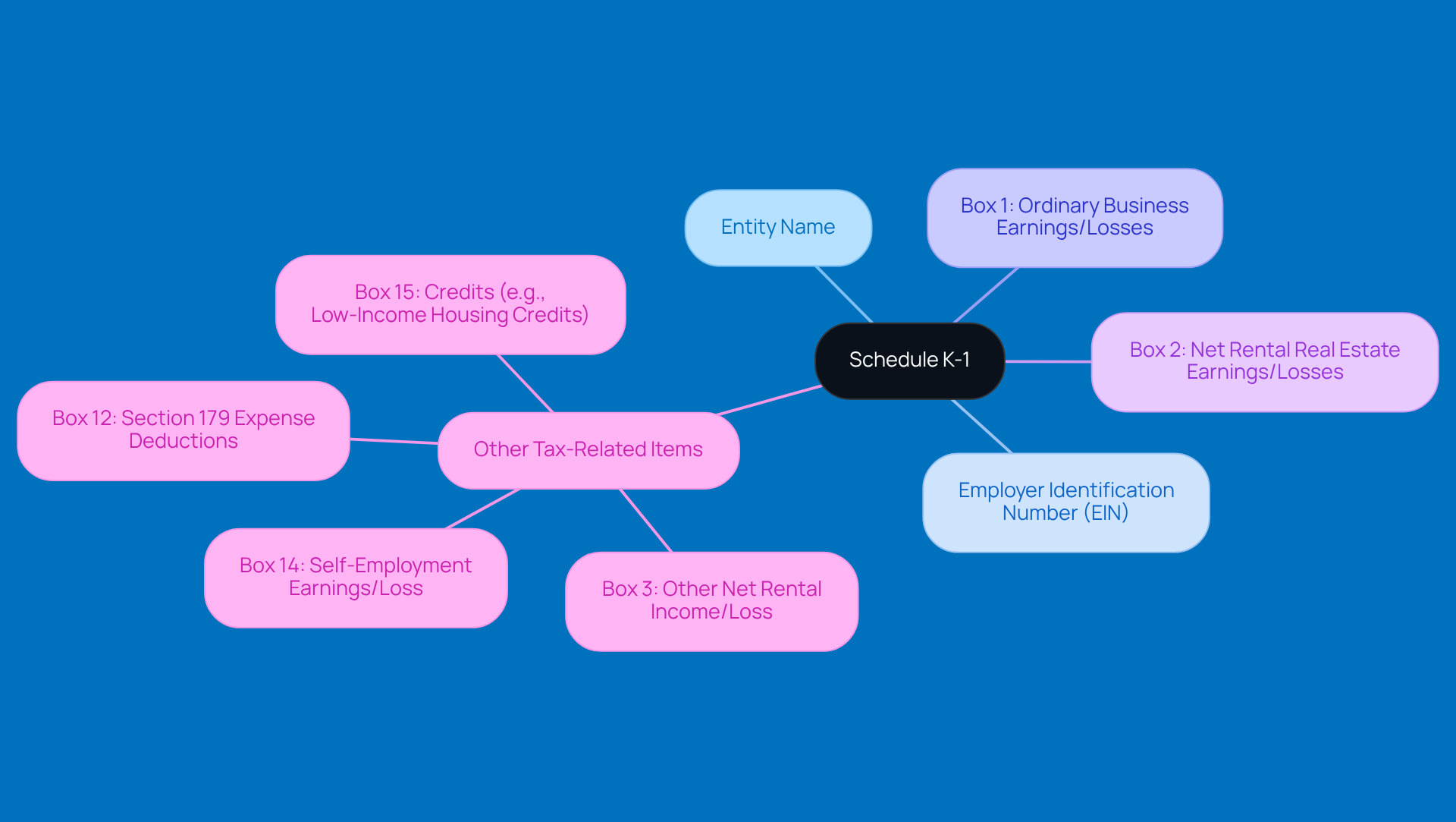 The center shows the main topic, Schedule K-1, and the branches represent important parts you need to know for tax reporting. Each branch highlights a specific component, helping you understand what to look for on your K-1 form. The center shows the main topic, Schedule K-1, and the branches represent important parts you need to know for tax reporting. Each branch highlights a specific component, helping you understand what to look for on your K-1 form.