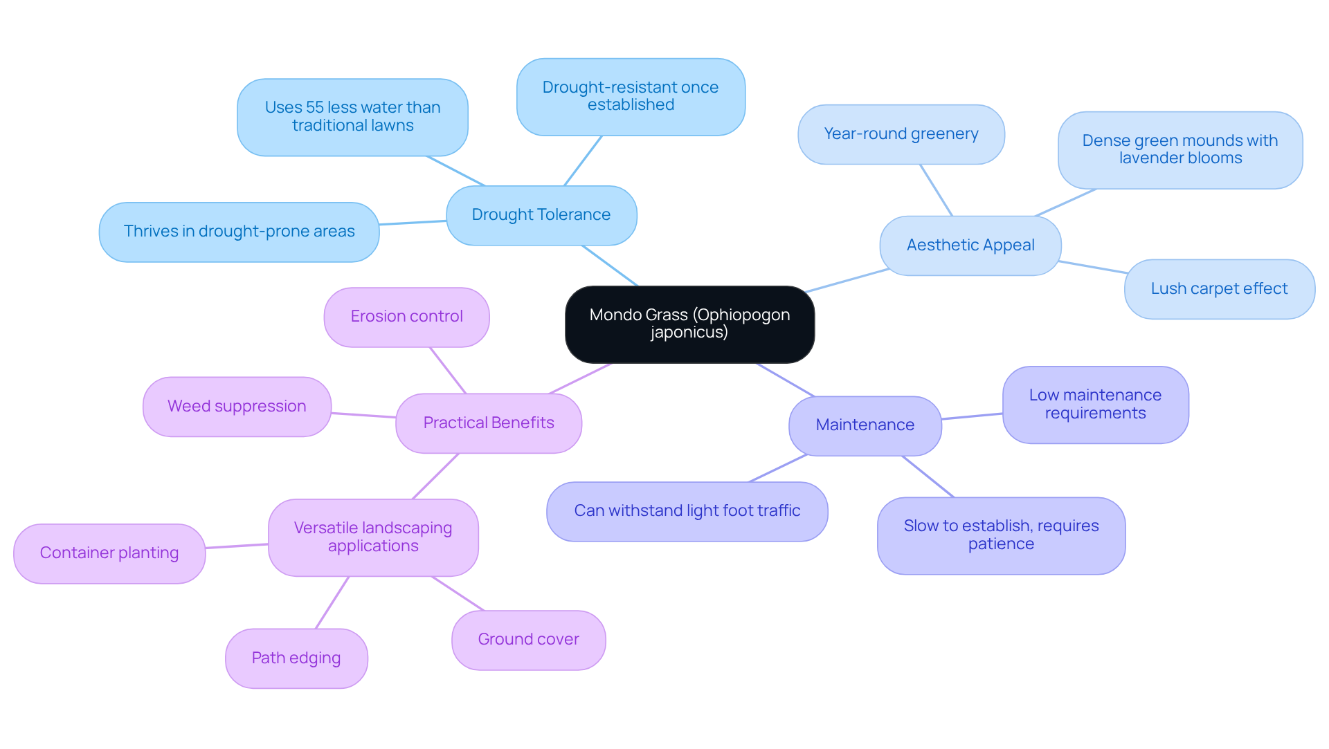 This mindmap illustrates the various benefits and characteristics of Mondo grass. Start at the center with the plant's name, then explore its drought tolerance, beauty, maintenance needs, and practical uses. Each branch represents a different aspect, helping you understand why Mondo grass is a great choice for sustainable landscaping.