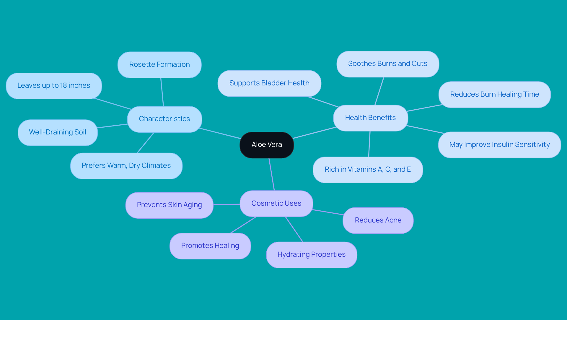 This mindmap starts with Aloe Vera at the center, branching out to show its key characteristics, health benefits, and cosmetic uses. Each branch highlights important points, making it easy to understand how Aloe Vera can be beneficial in various ways.