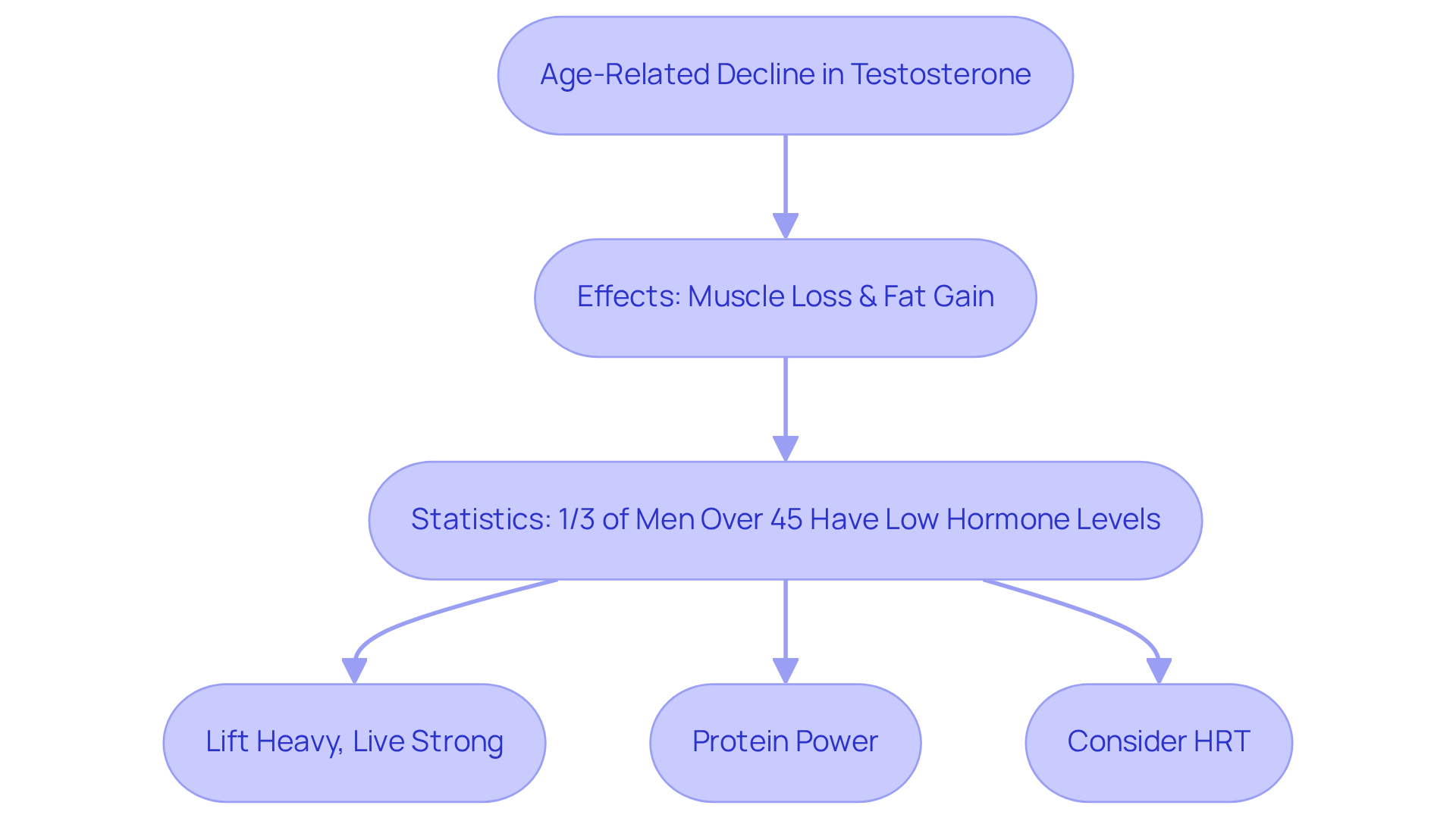 This flowchart shows how testosterone levels decline with age and the resulting effects on muscle mass. Follow the arrows to see the steps you can take to maintain your health and strength.