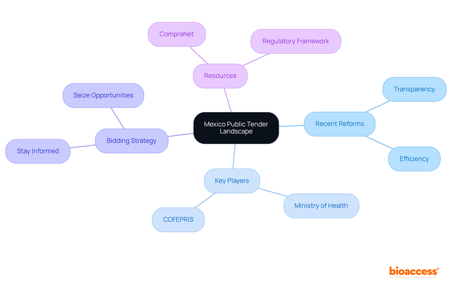 The central node represents the overall landscape, while branches show important aspects like reforms and strategies. Each color-coded branch helps you see how these elements relate to the tender process.