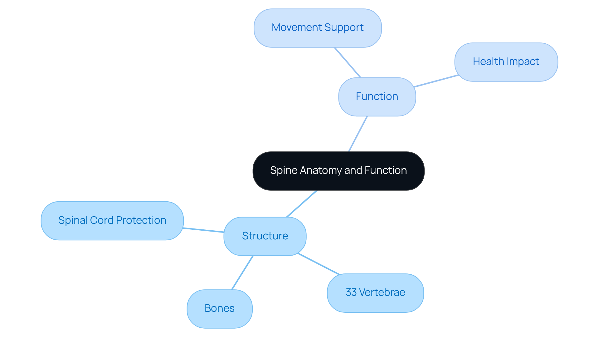 This mindmap illustrates the key components of the spine and their roles. Start at the center with the spine's anatomy, then explore how each part contributes to your overall health and mobility. This mindmap illustrates the key components of the spine and their roles. Start at the center with the spine's anatomy, then explore how each part contributes to your overall health and mobility.