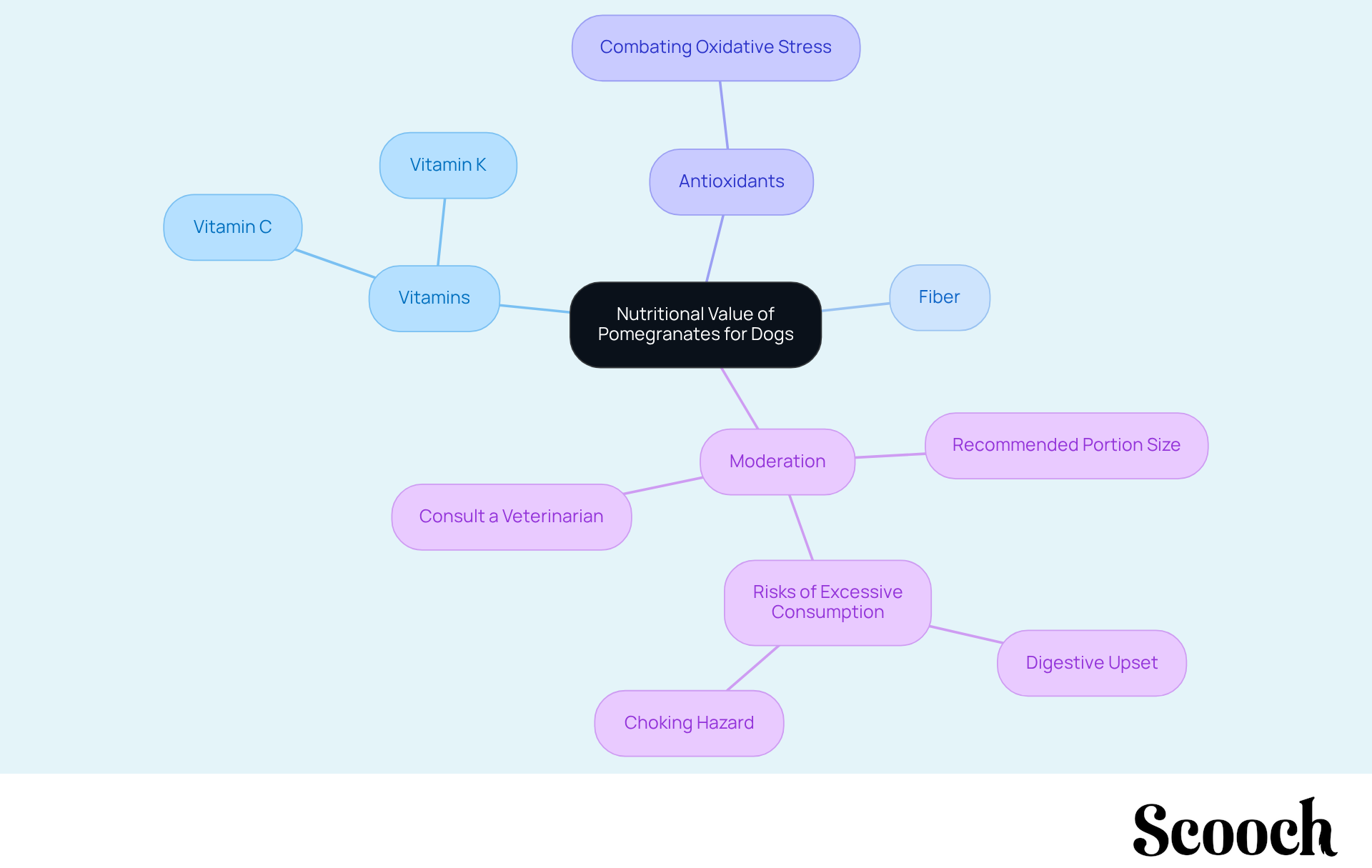 Starting from the center, you can see how pomegranates benefit dogs' health. Each branch represents a key nutrient or important advice, making it easy to understand how they all connect.