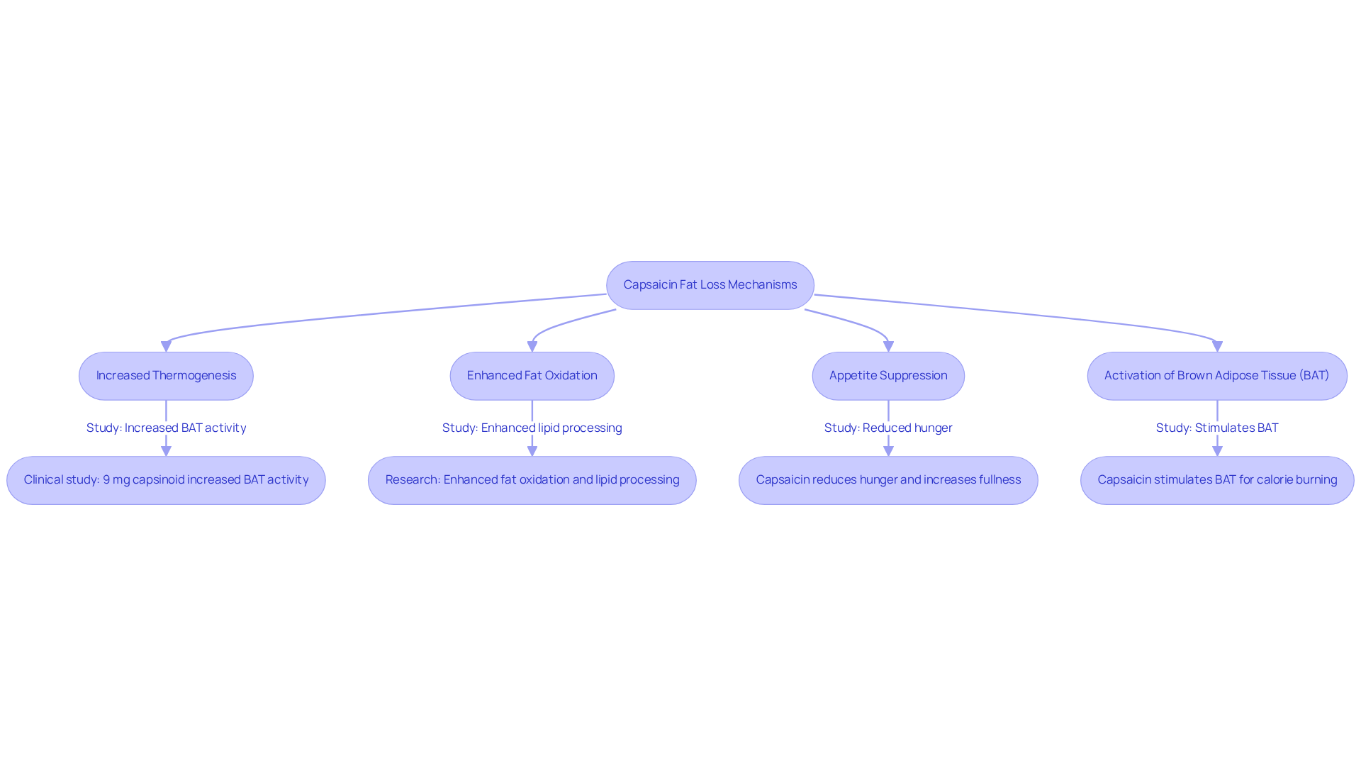 This flowchart illustrates how capsaicin contributes to fat loss through various mechanisms. Each branch represents a different way capsaicin works, from increasing calorie burning to suppressing appetite. Follow the arrows to understand how these mechanisms connect to the overall goal of weight loss. This flowchart illustrates how capsaicin contributes to fat loss through various mechanisms. Each branch represents a different way capsaicin works, from increasing calorie burning to suppressing appetite. Follow the arrows to understand how these mechanisms connect to the overall goal of weight loss.