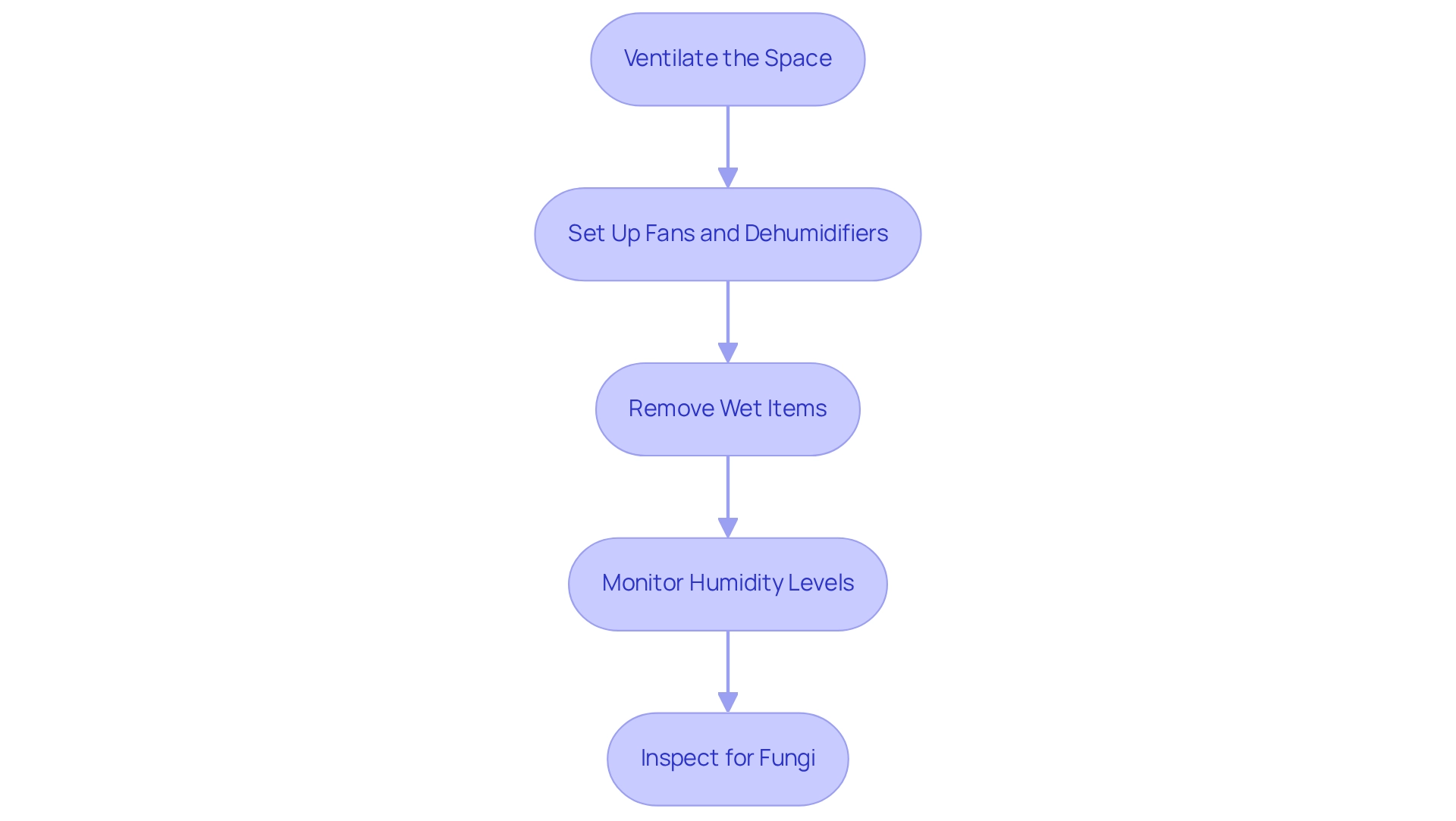 Each box represents a step in the drying and mold prevention process. Follow the arrows to navigate through the steps — starting from ventilation to inspecting for fungi.