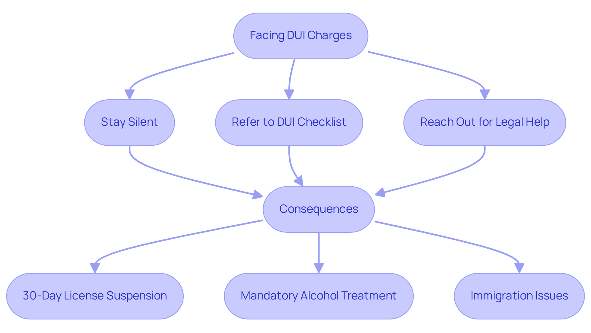 This flowchart guides you through what to do if you're facing DUI charges. Start at the top and follow the arrows to see the recommended actions and potential consequences. Each step is important, so make sure to follow them carefully!