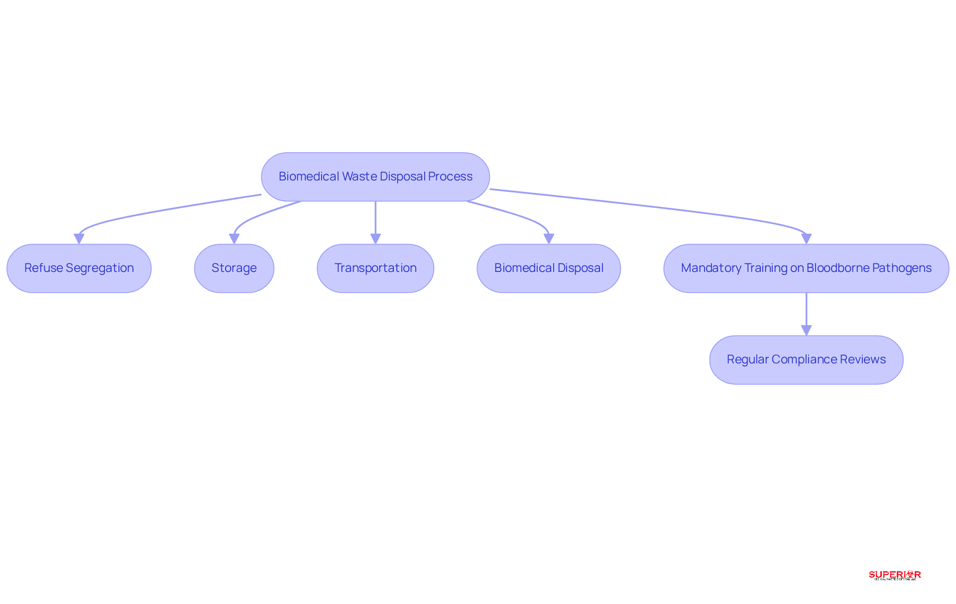 10 Essential Strategies for Effective Biomedical Disposal in Healthcare ...