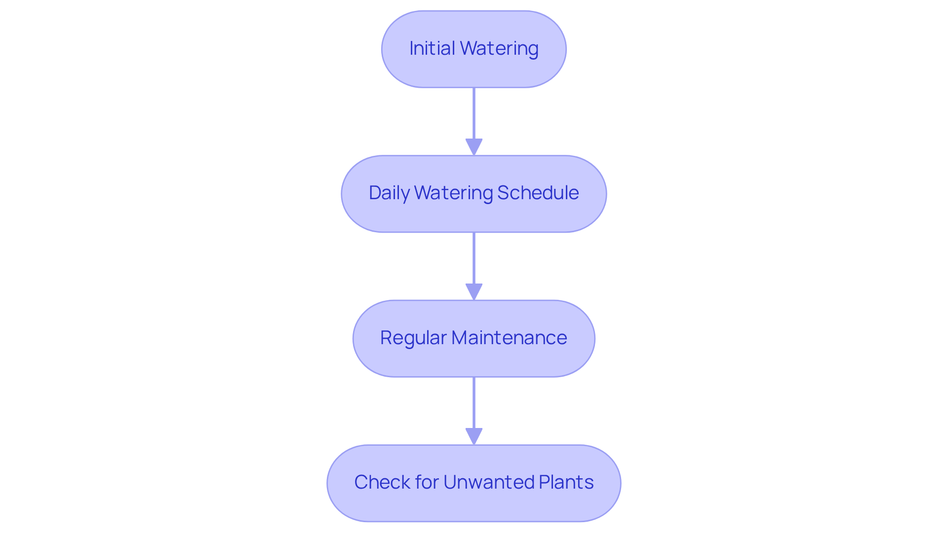 Each box represents a step in the turf care process. Follow the arrows to see how to properly water and maintain your new grass, ensuring it stays healthy and beautiful.