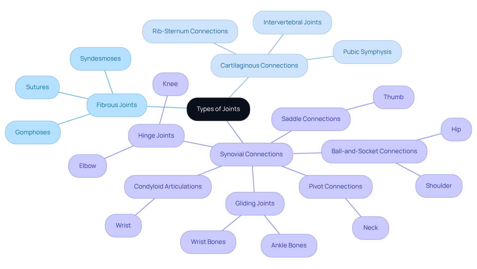 The central node represents the overall topic of joints. Each branch shows a different type of joint, and the sub-branches detail specific examples and functions. This layout helps you see how joints are categorized and understand their roles in movement. The central node represents the overall topic of joints. Each branch shows a different type of joint, and the sub-branches detail specific examples and functions. This layout helps you see how joints are categorized and understand their roles in movement.