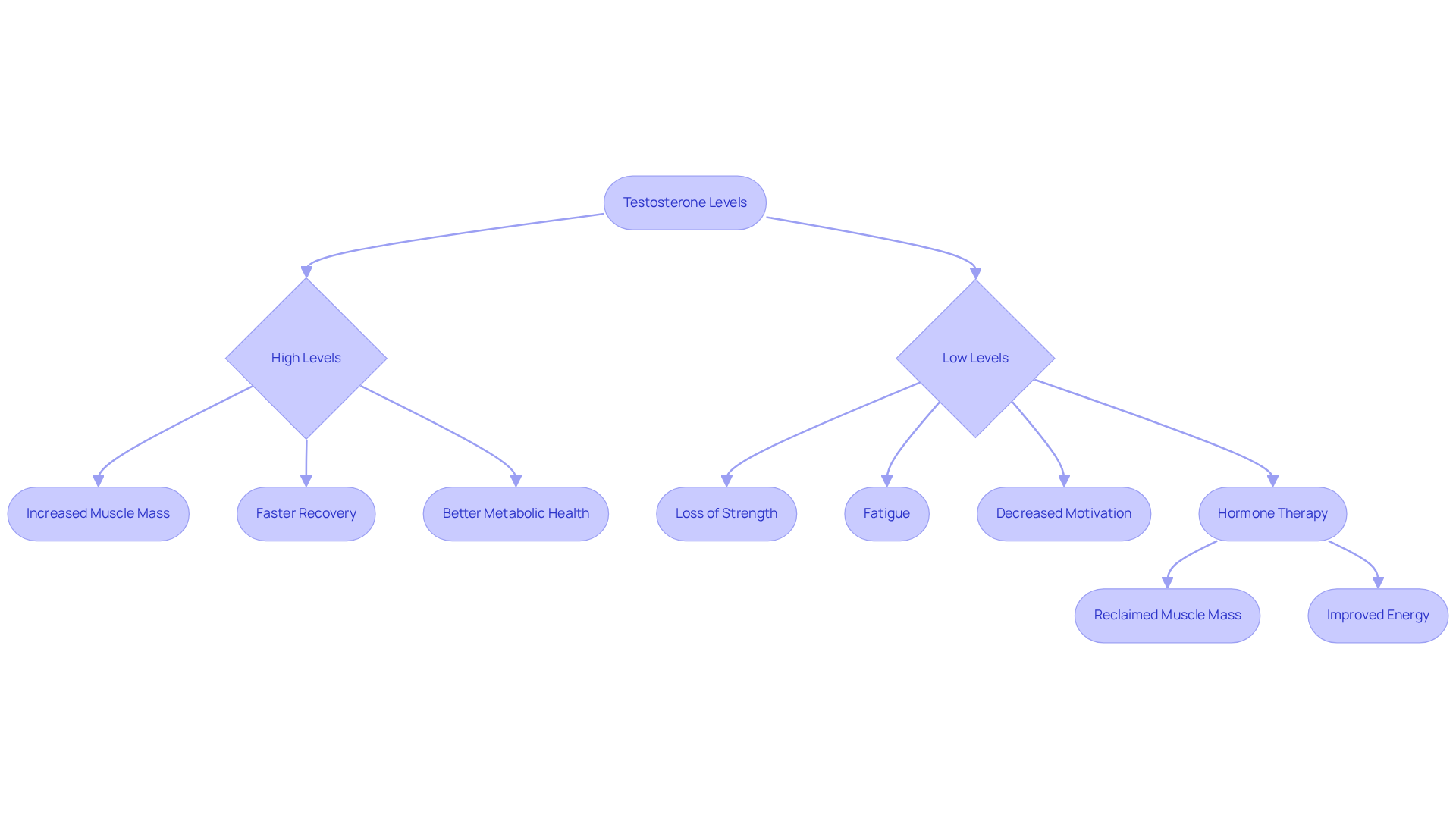 This flowchart shows how testosterone levels affect muscle mass and recovery. High levels lead to benefits like bigger muscles and faster recovery, while low levels can cause fatigue and loss of strength. Hormone therapy can help restore balance and improve overall performance.