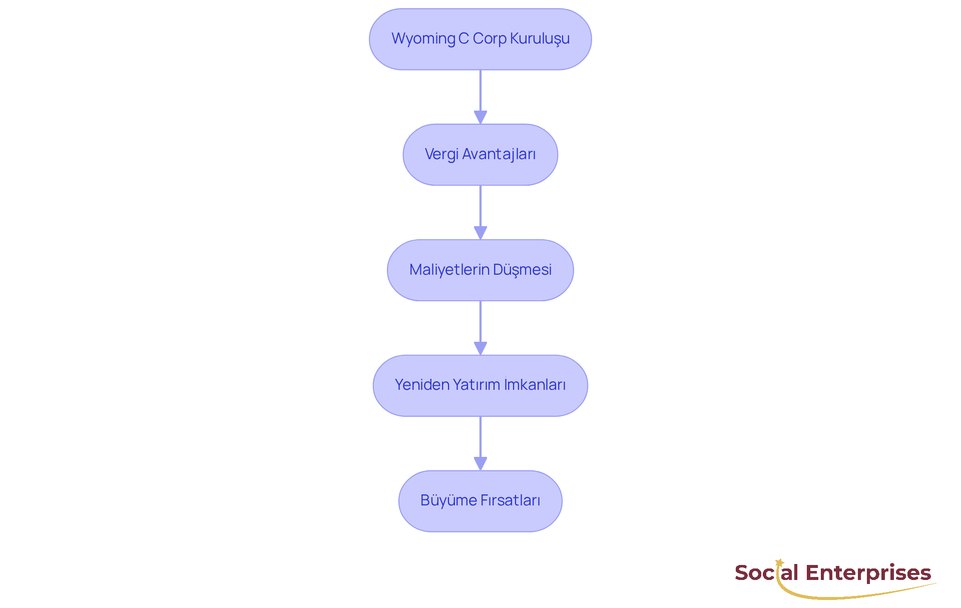Her kutu, sürecin bir aşamasını temsil eder. Oklar, aşamalar arasındaki geçişleri gösterir — bu, Wyoming C Corporation kurmanın nasıl avantajlar sağladığını ve büyüme fırsatlarına dönüştüğünü anlamanızı kolaylaştırır.