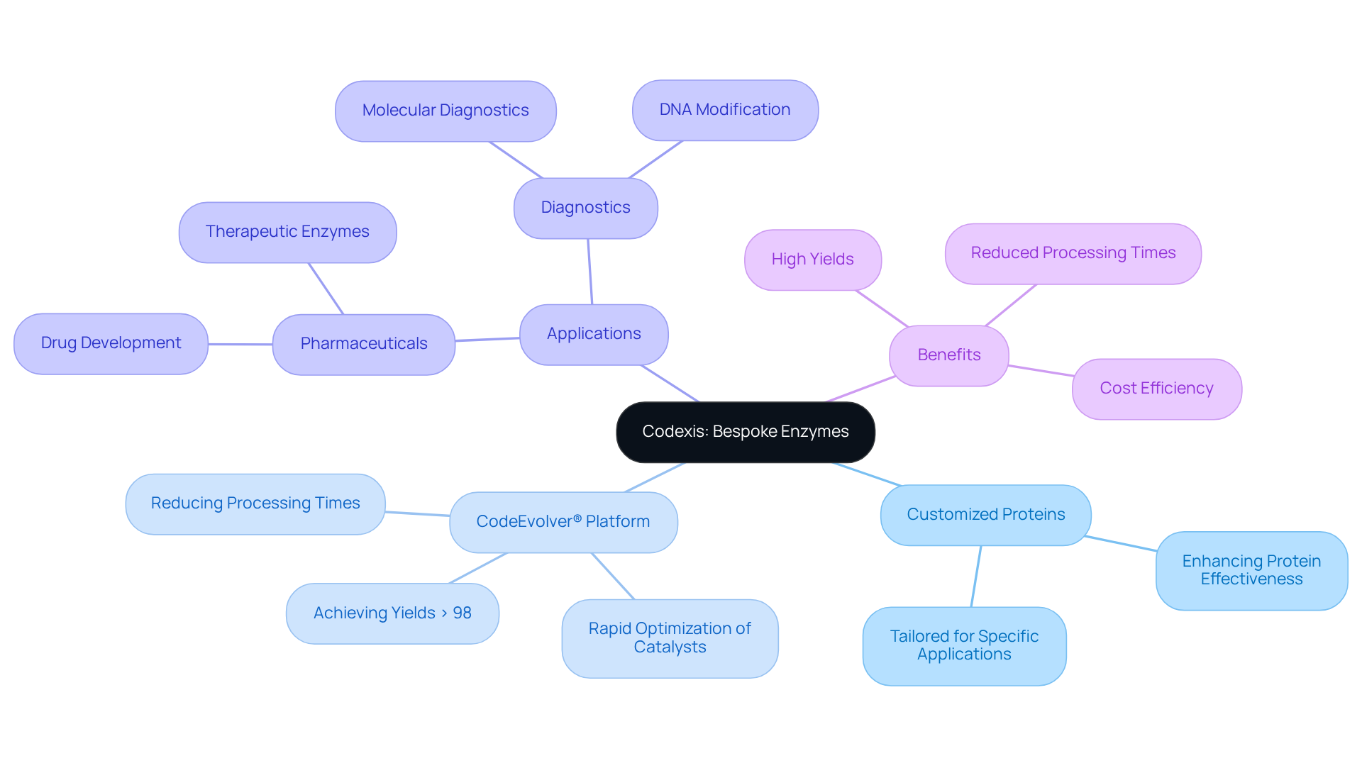The central node represents Codexis's focus on bespoke enzymes, with branches showing how their platform and customized proteins apply to different sectors and the benefits they provide.