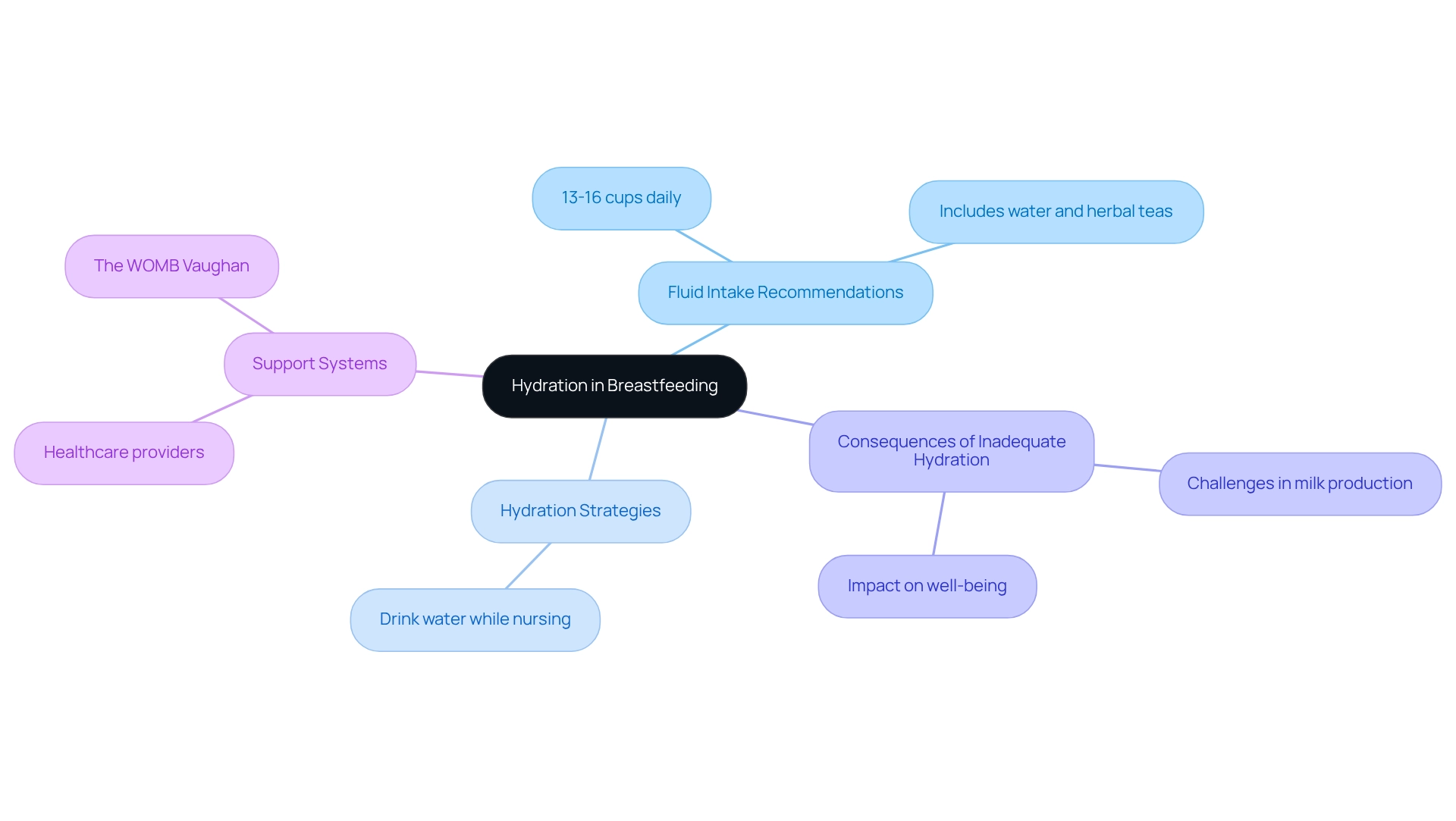 The central node represents the overall topic of hydration, with branches indicating fluid intake recommendations, strategies, consequences, and support systems.